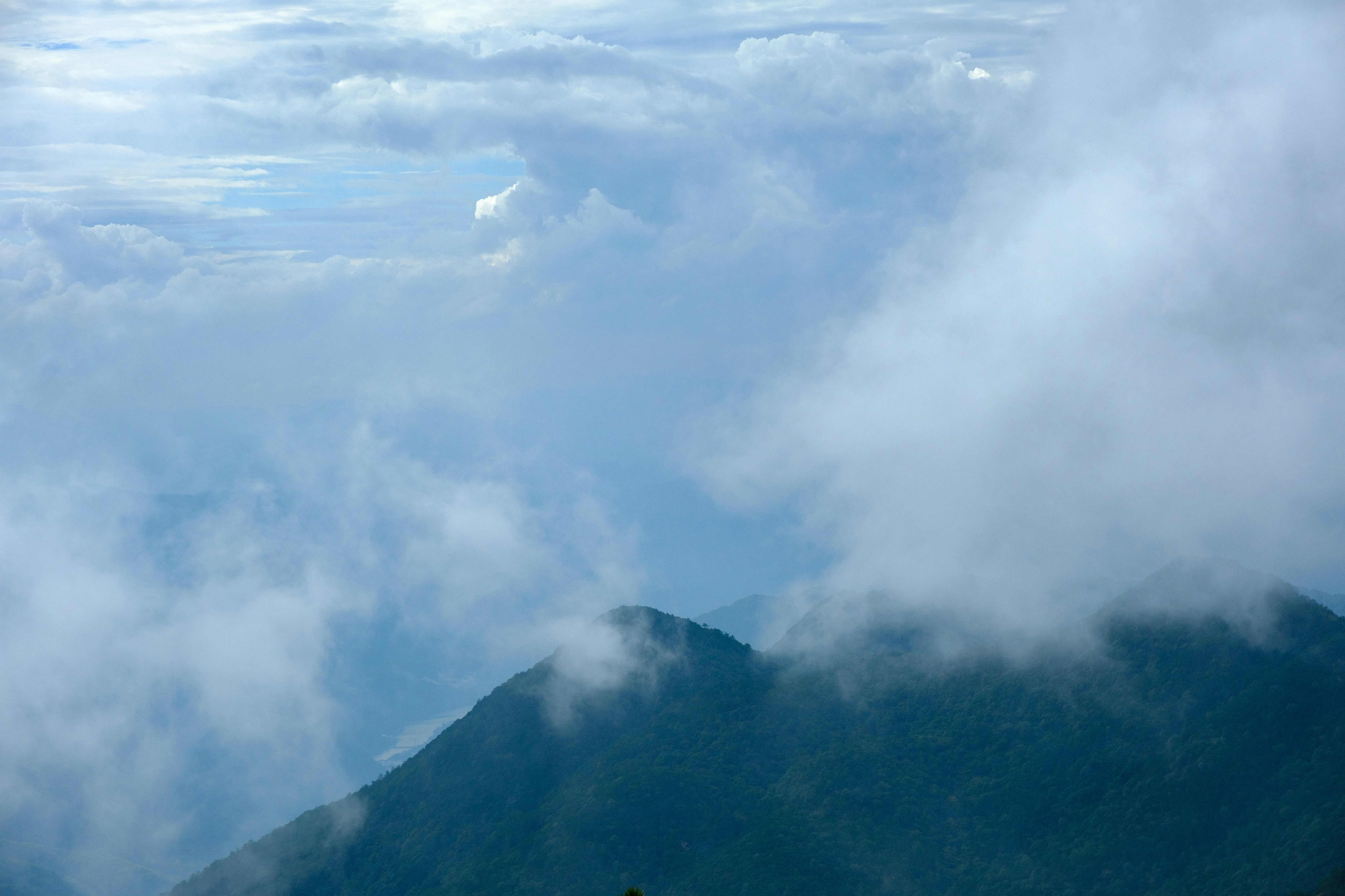 Mist-Laced Summit: A Quiet Crest Emerging from the Clouds