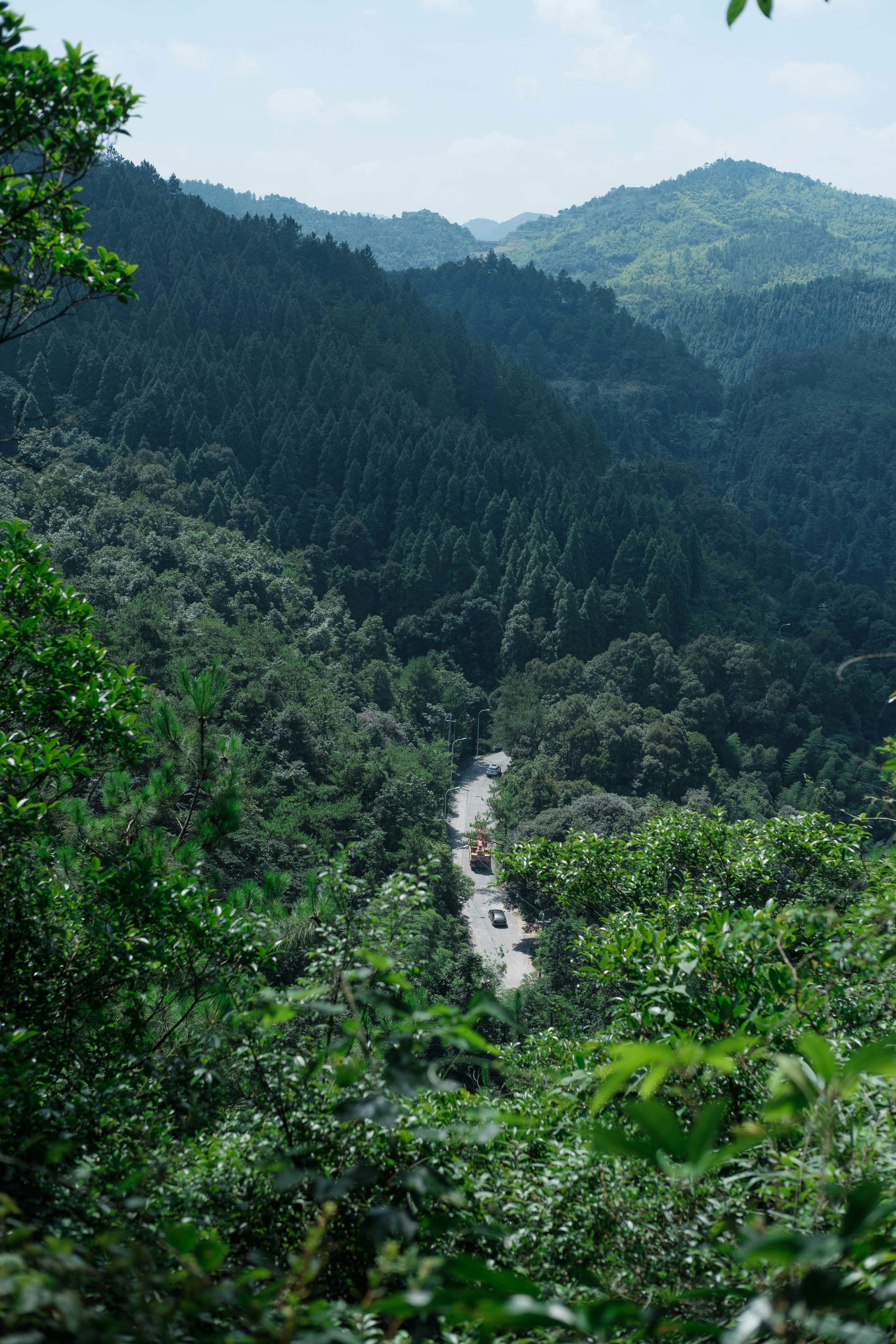 Photo by 雙 film with Fujifilm X-T30 II