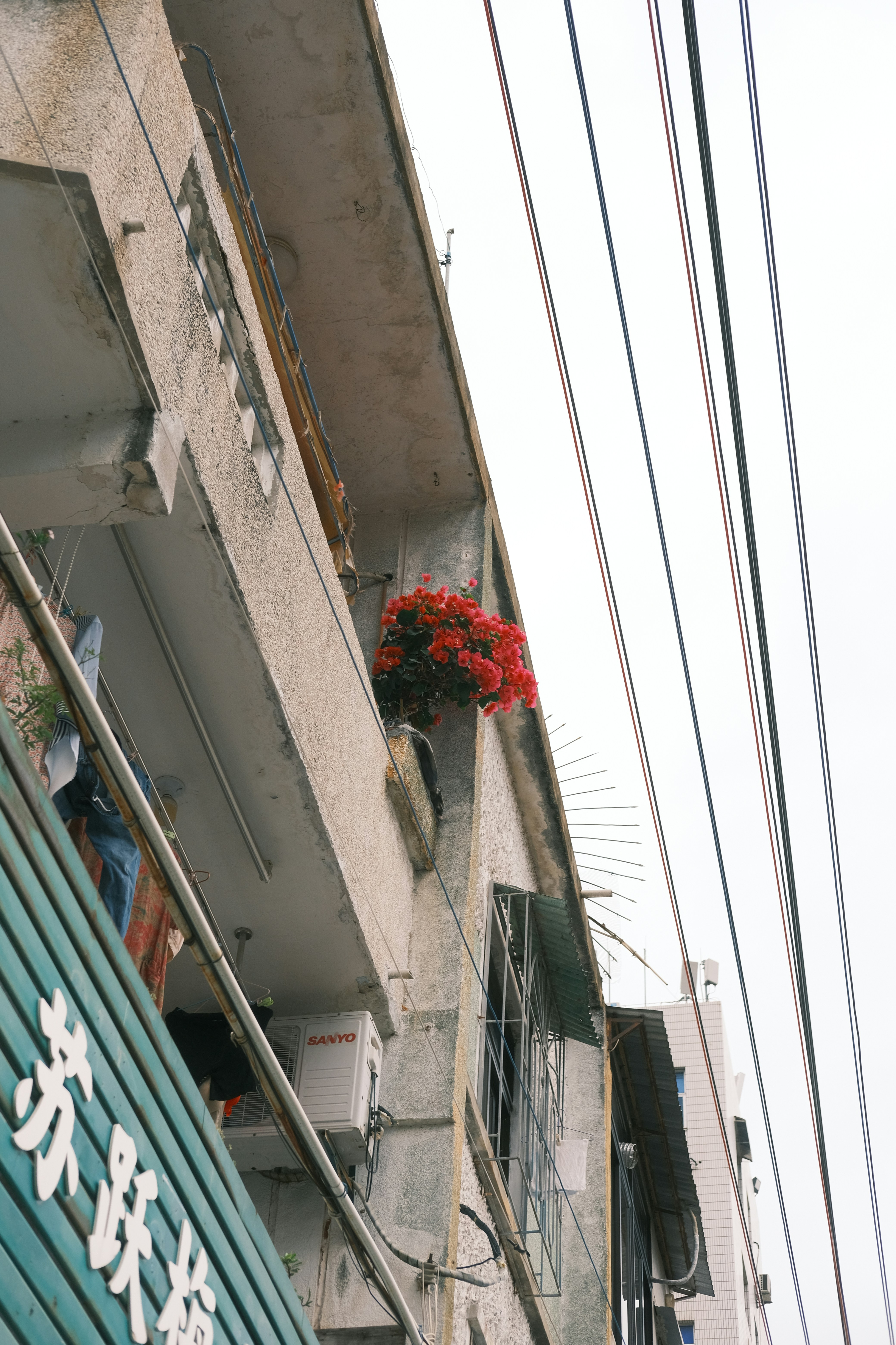 Red Flower Balcony: Urban Concrete Frame