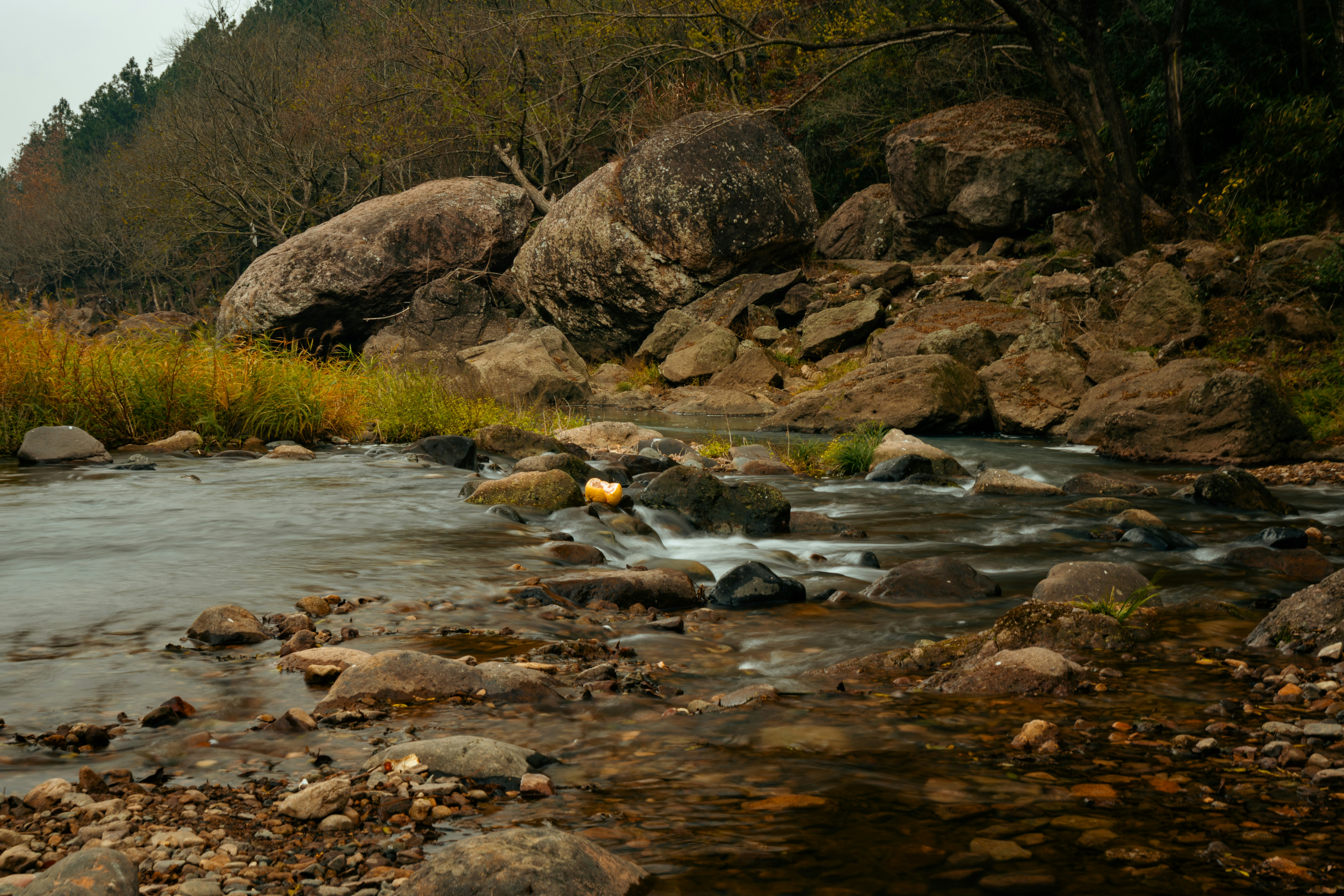 Rugged riverbed in autumn light