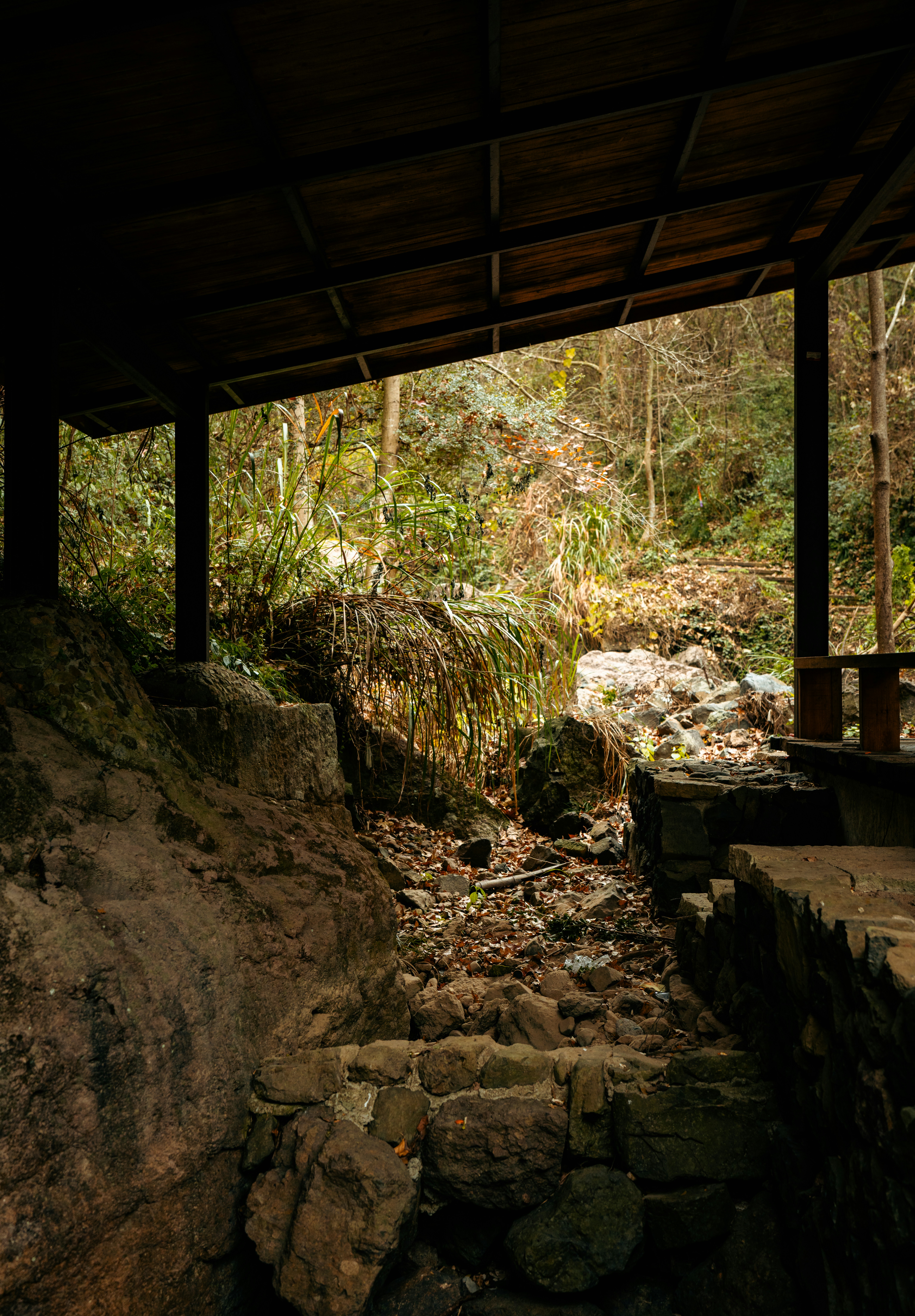 Photo by Declan Sun with Sony Alpha 7R V