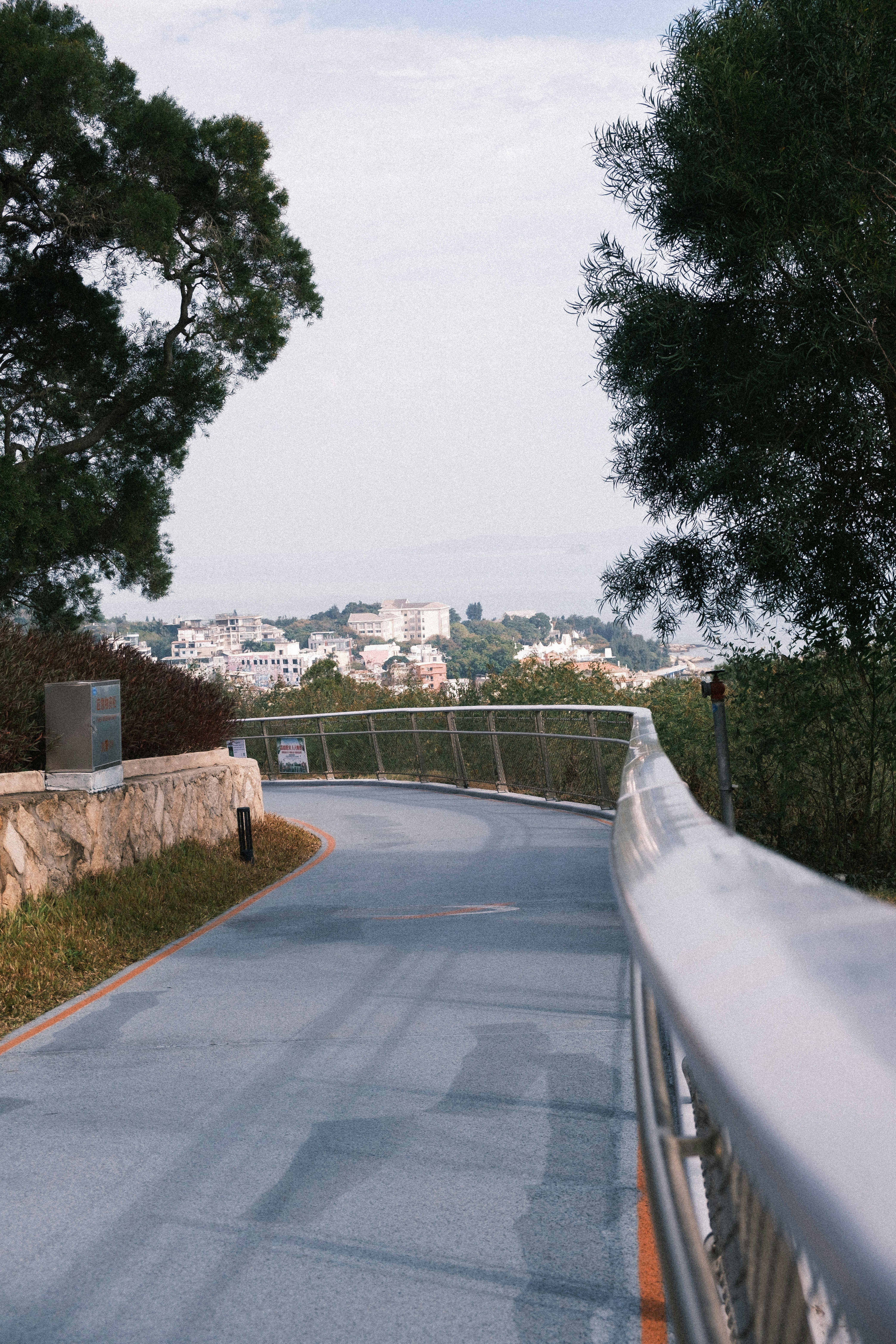 Curved Coastal Road: Guardrails, Trees, and a Distant Town