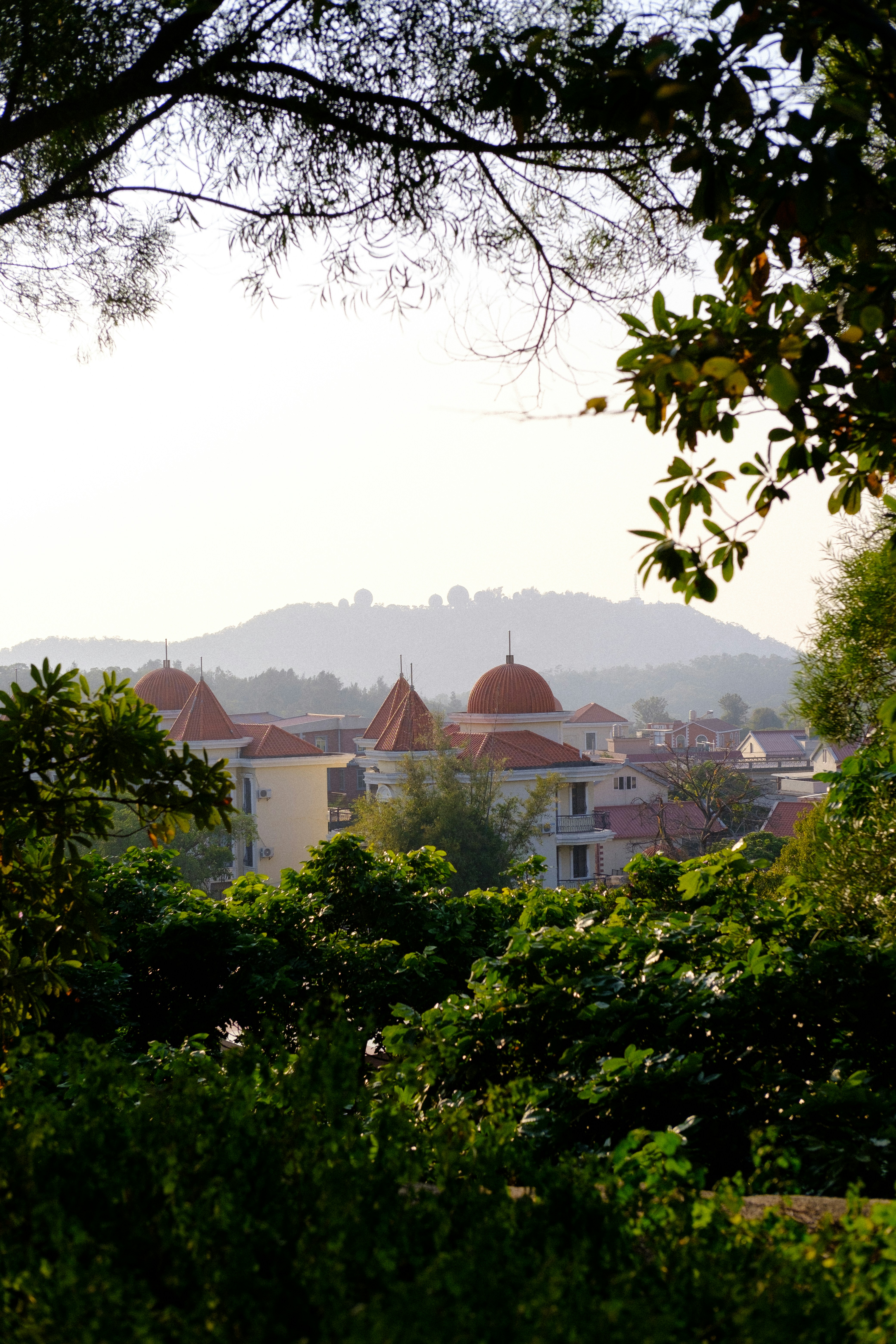 Terraced skyline framed by lush greenery under a hazy hill