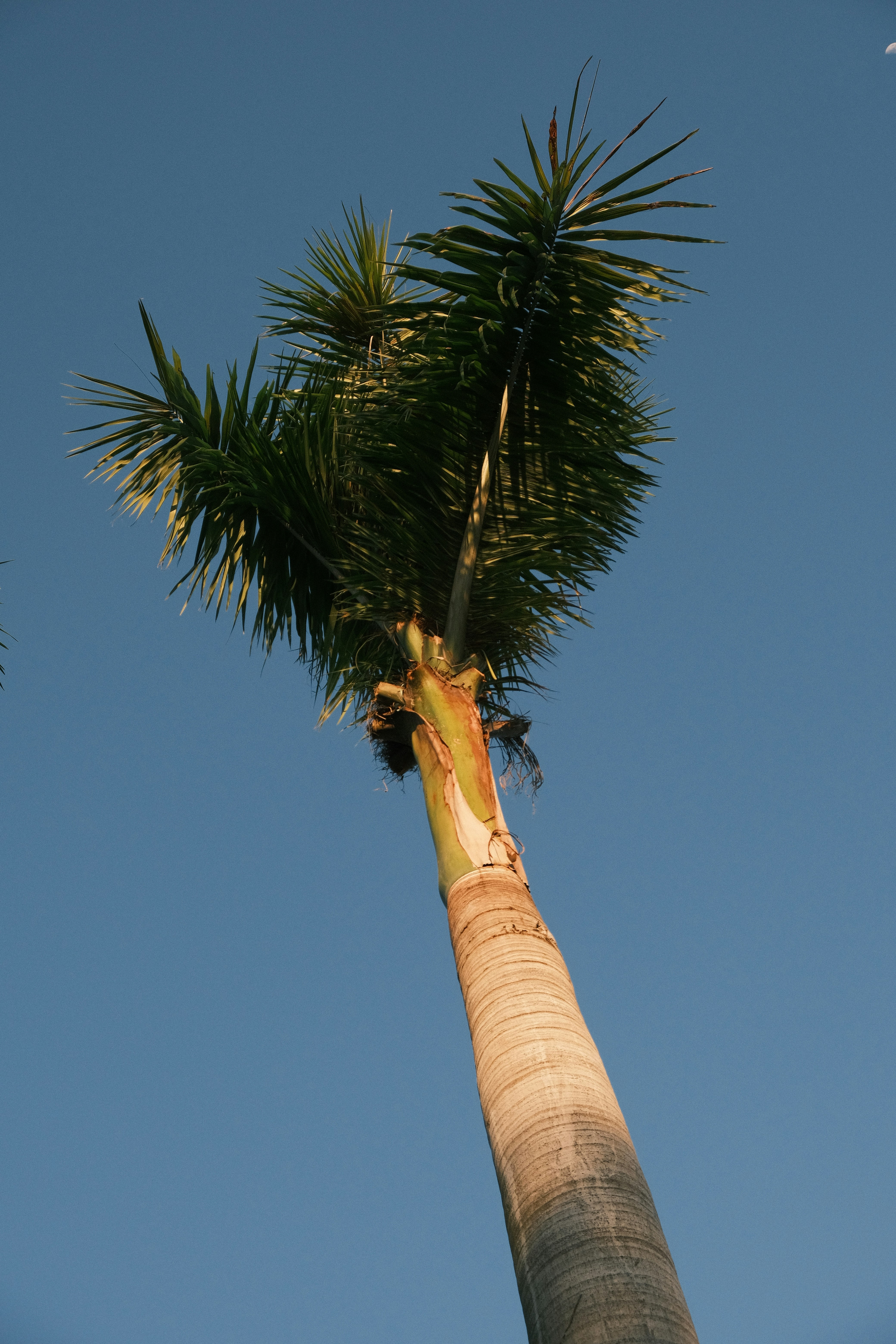 Photo by 雙 film with Fujifilm X-T30 II