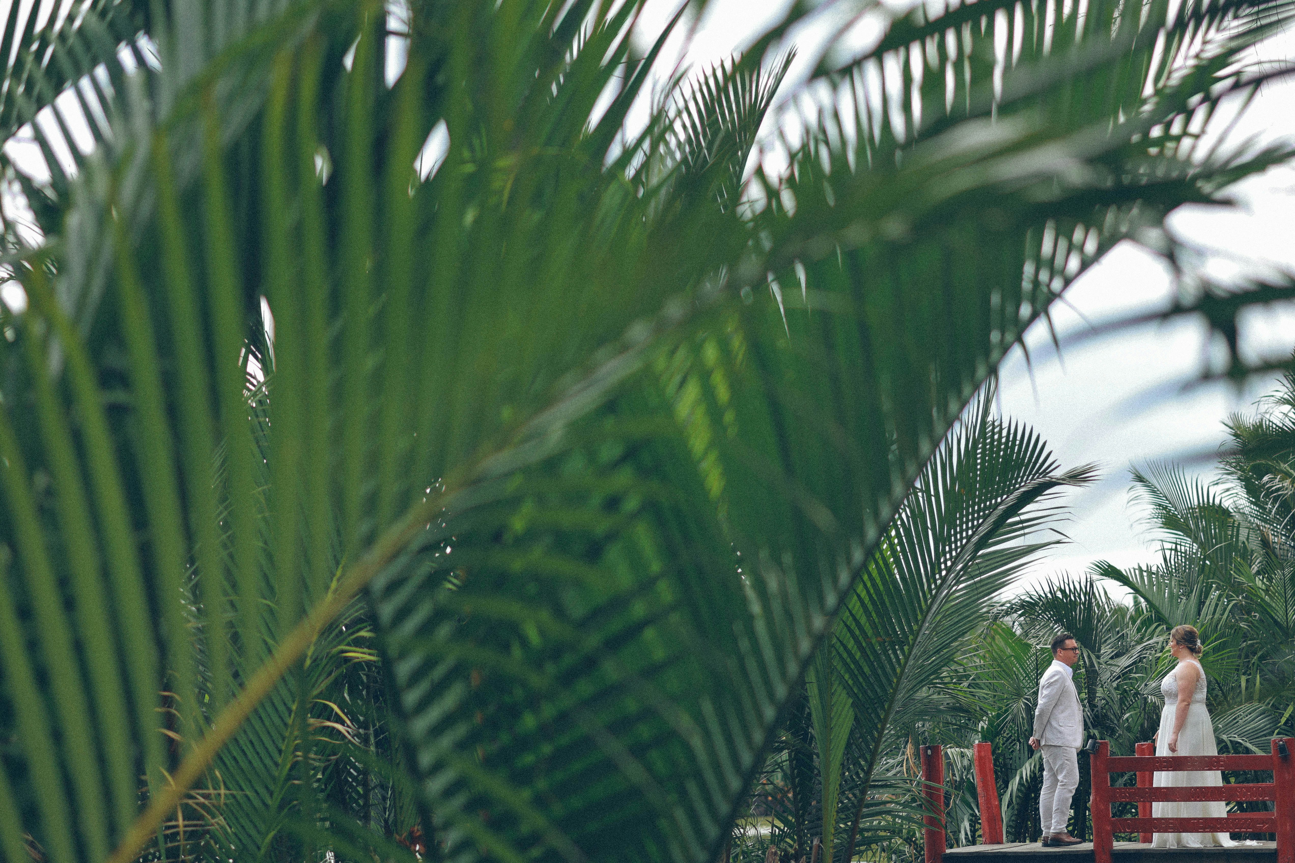 Quiet Union on a Palm-fringed Path
