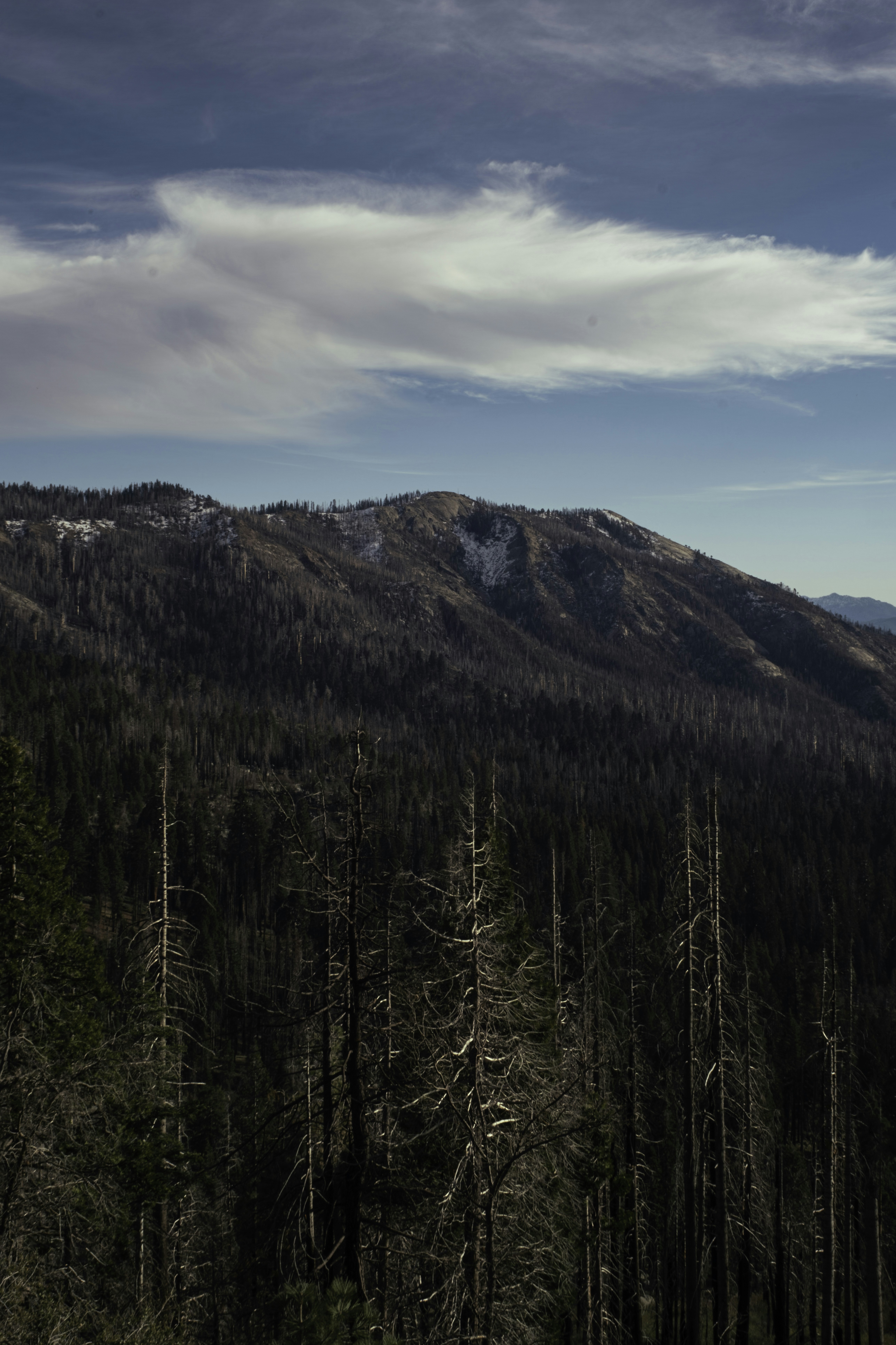 Photo by Jacob Padilla with Fujifilm X-T5