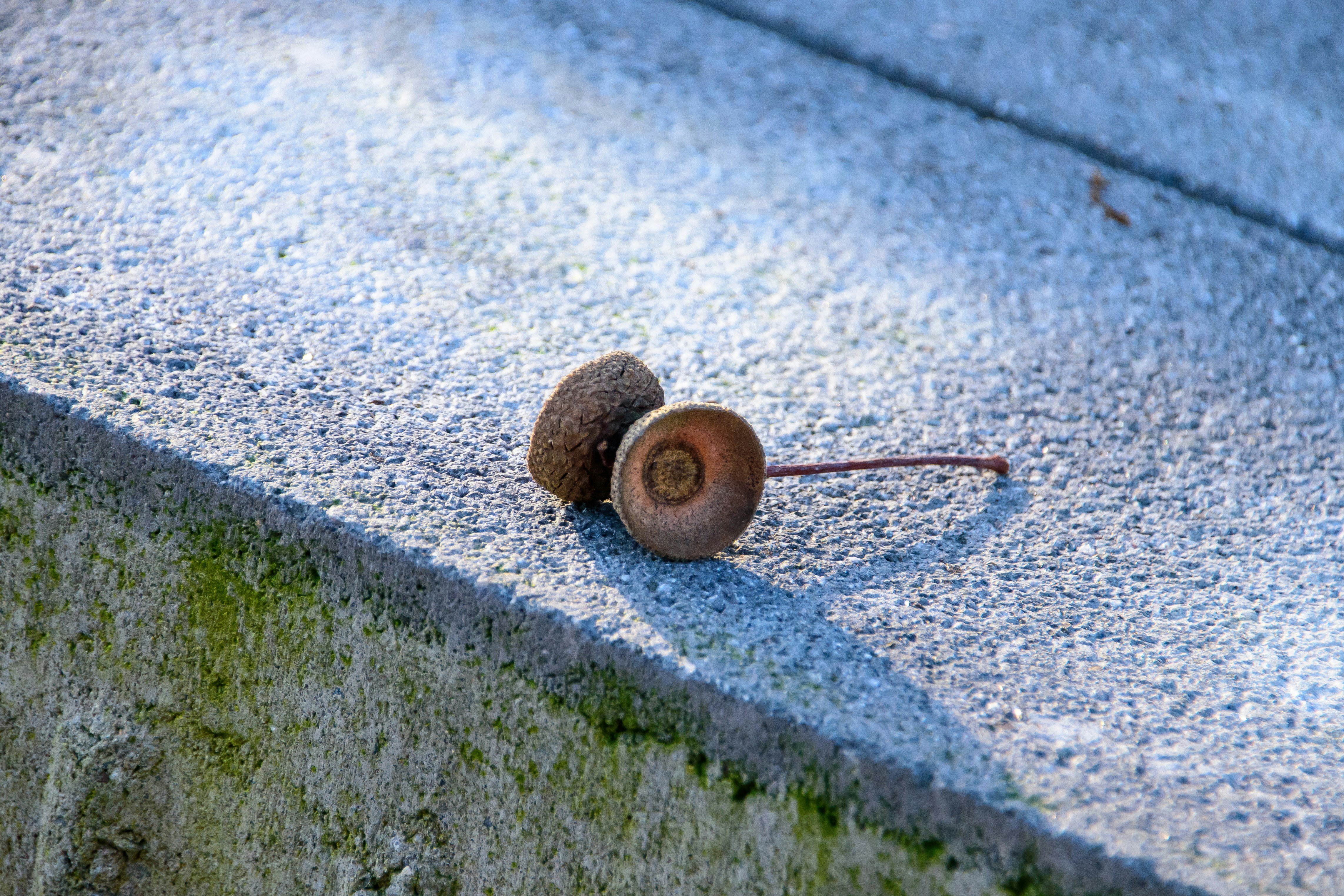 Photo by Sergej Karpow with Nikon D5500