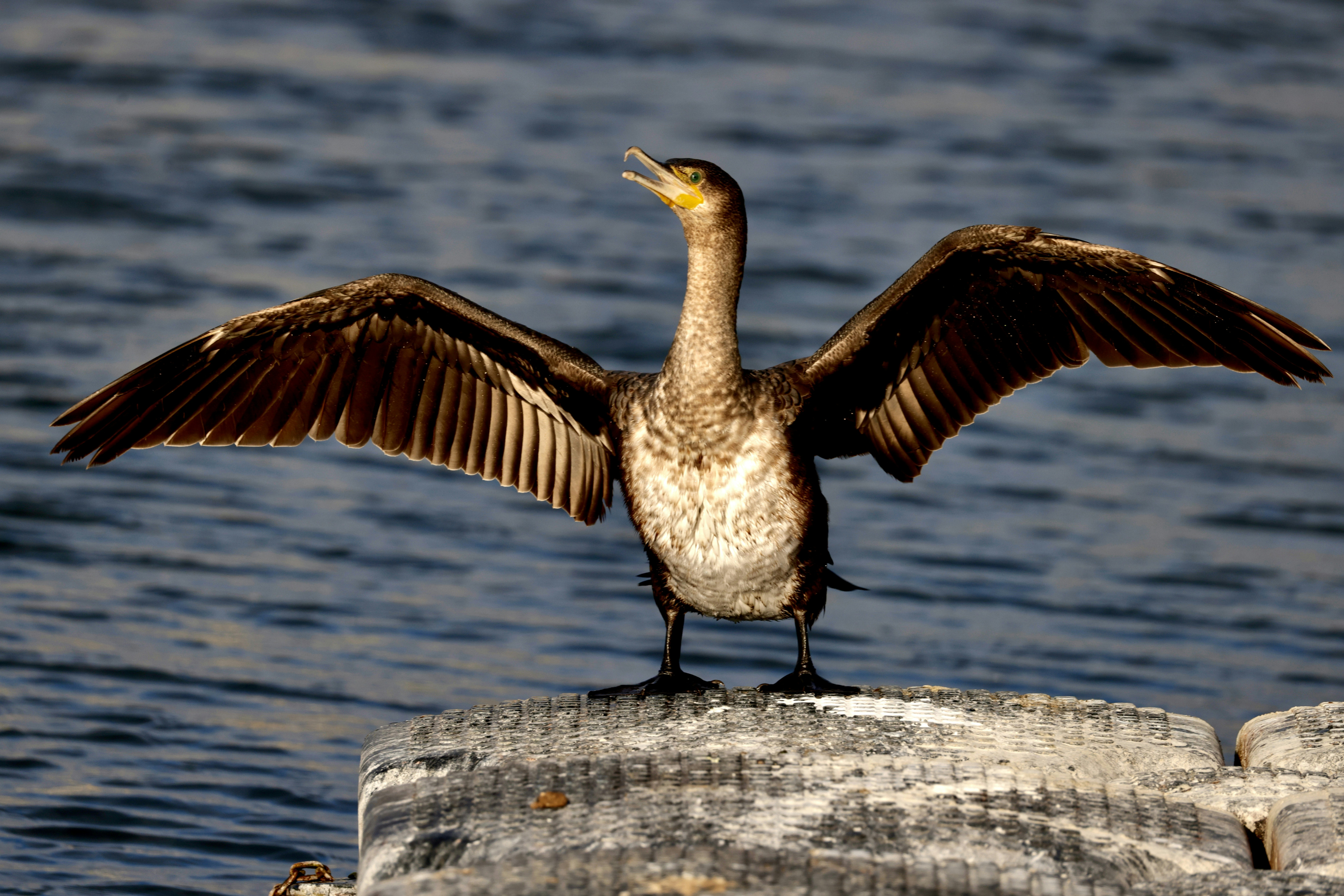 Photo by James Wainscoat with Canon EOS R5