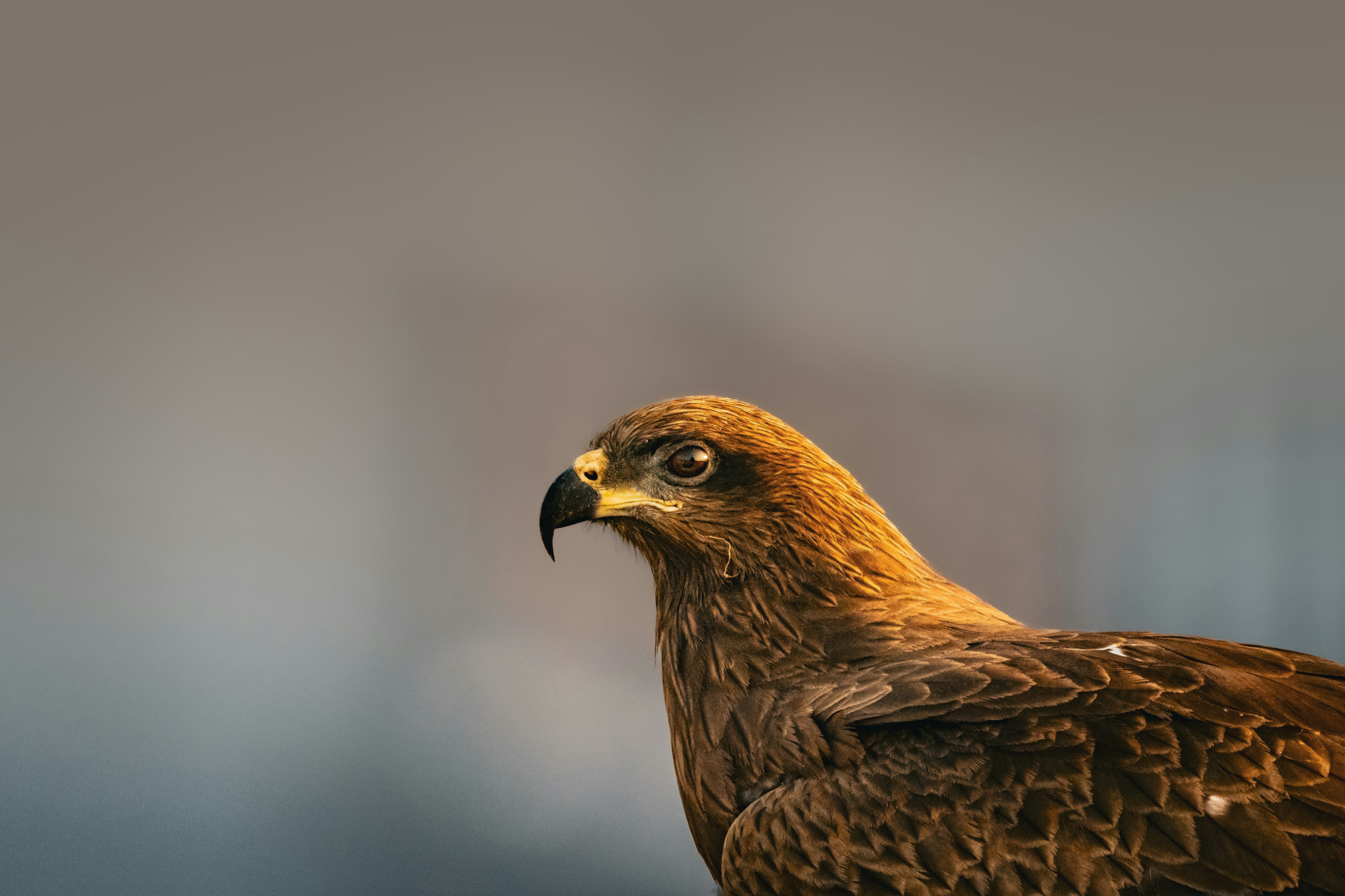 Photo by Zoha Gohar with Sony Alpha 6700