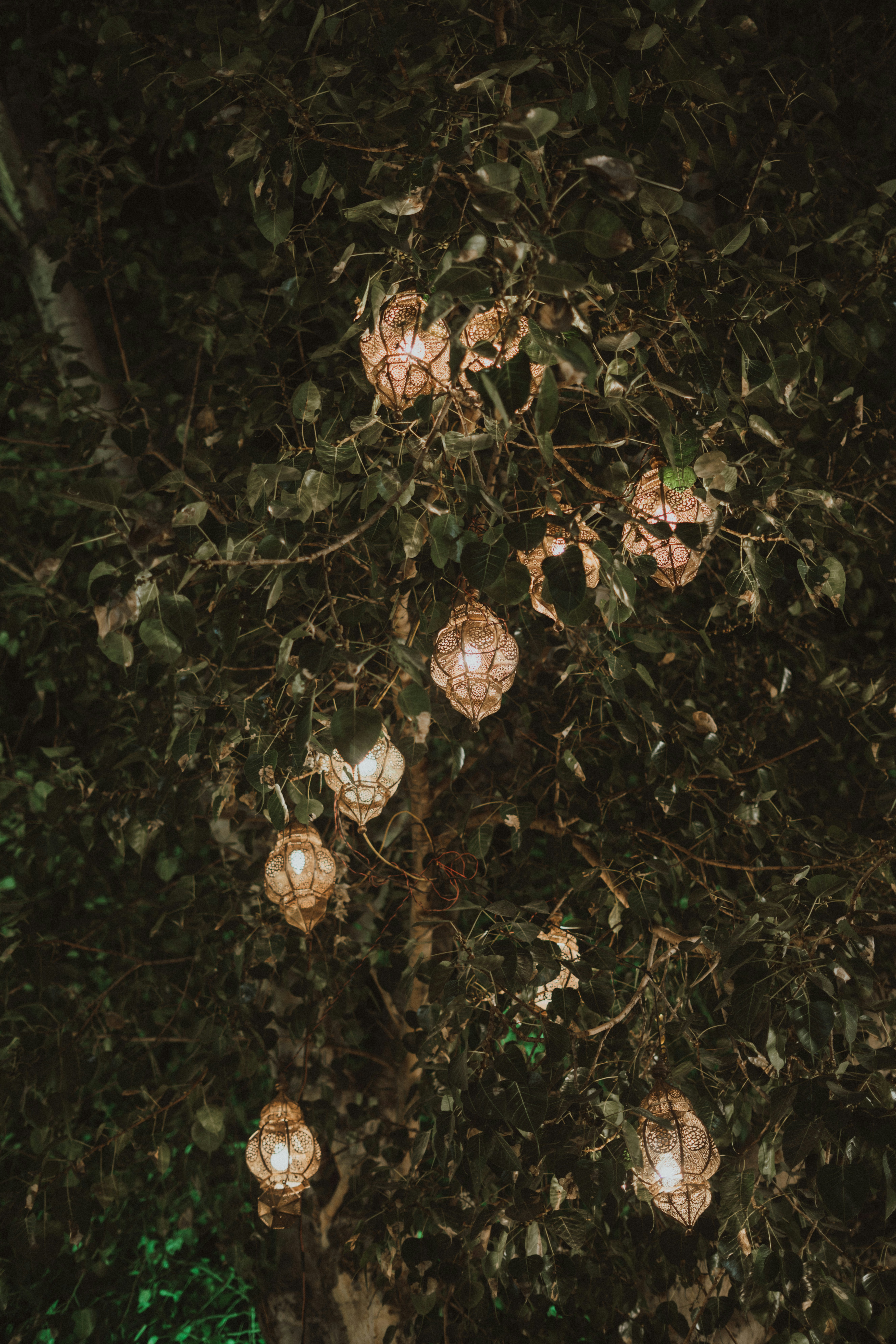 Photo by Vidit Goswami with Sony Alpha 7R III