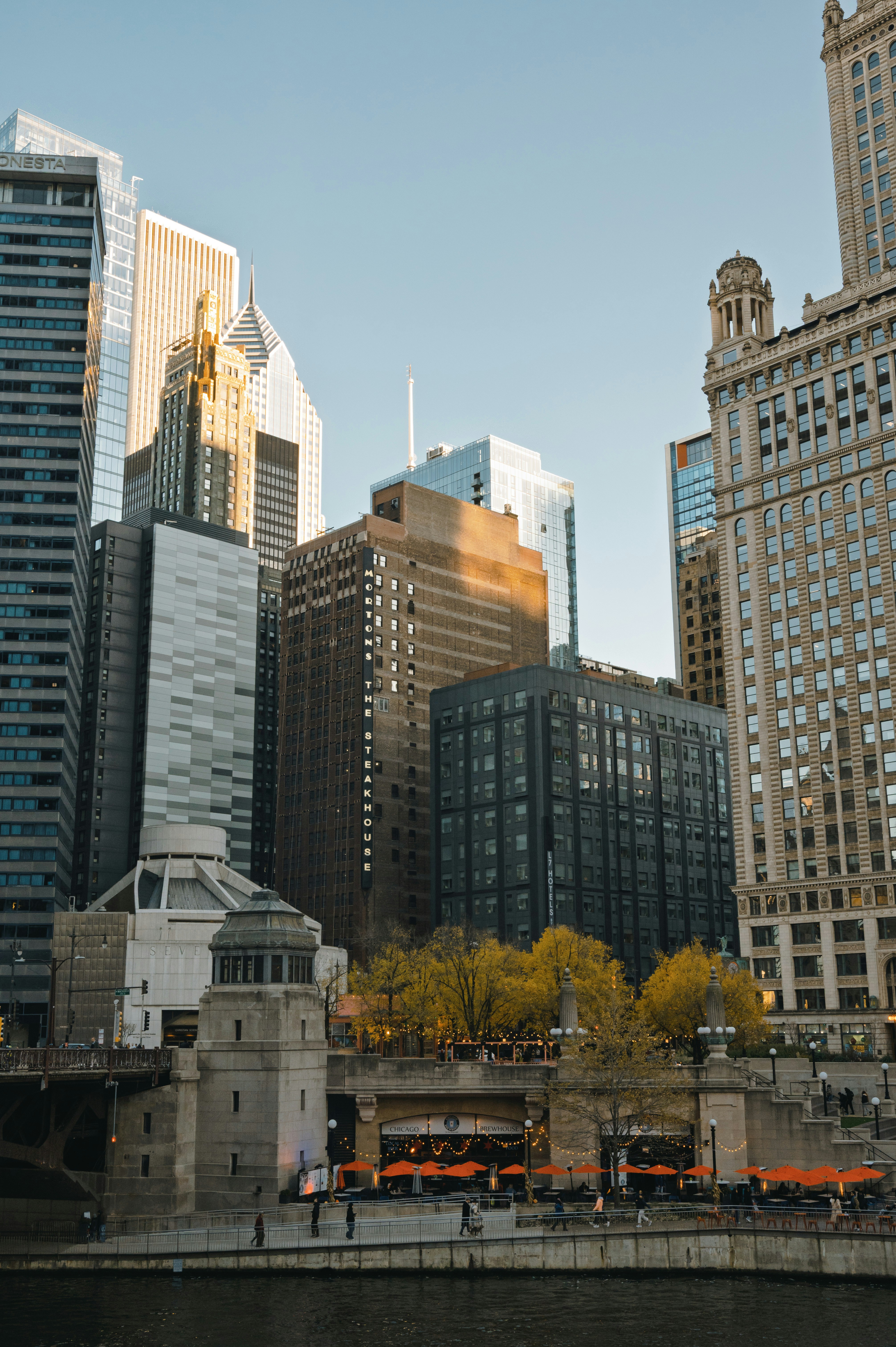 Photo by Gabriel Tovar with Nikon Z6 II