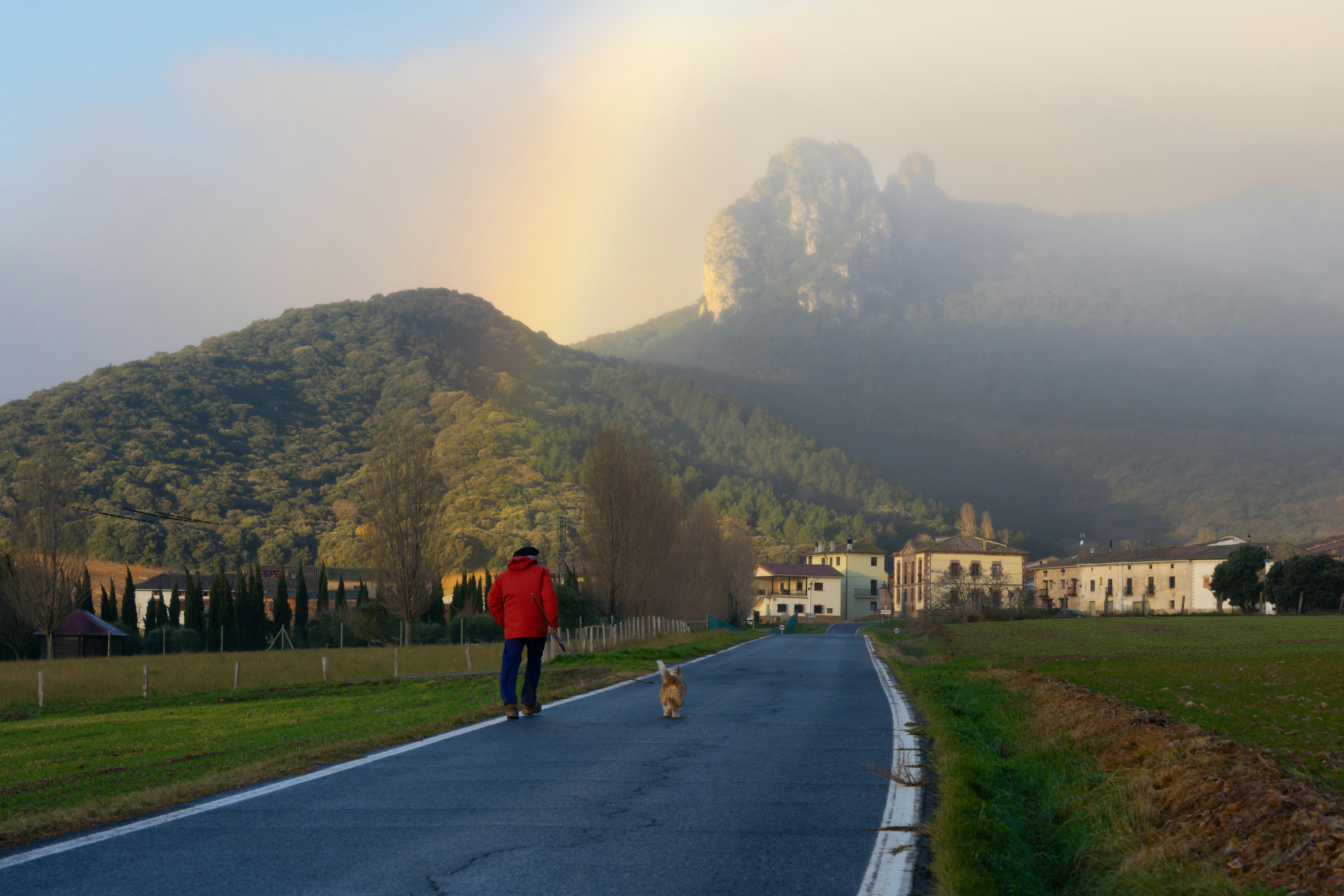 Photo by miguel garcia jimenez with Sony Alpha 7 II