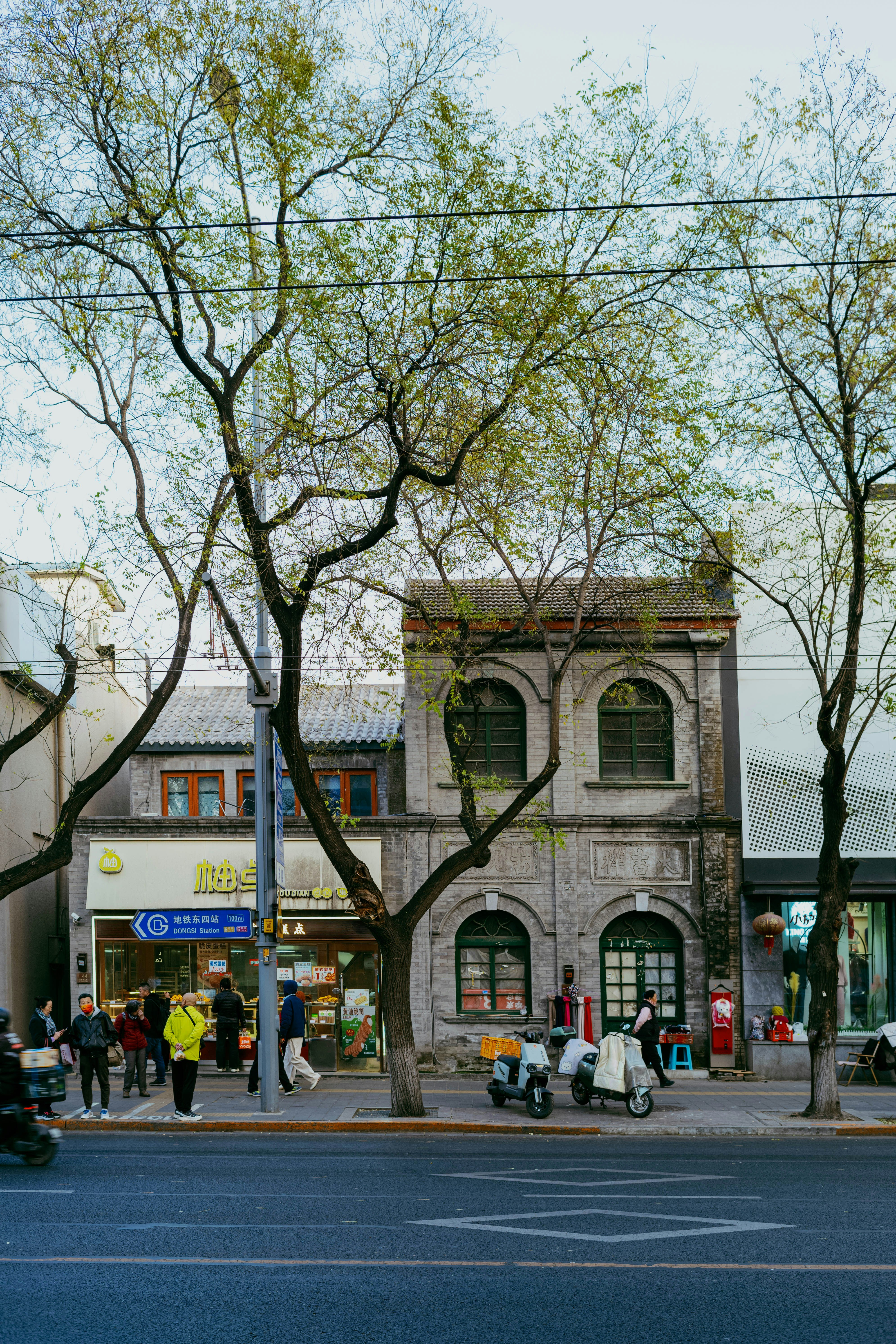 Cityfront in Bloom: Trees Framing a Quiet Street