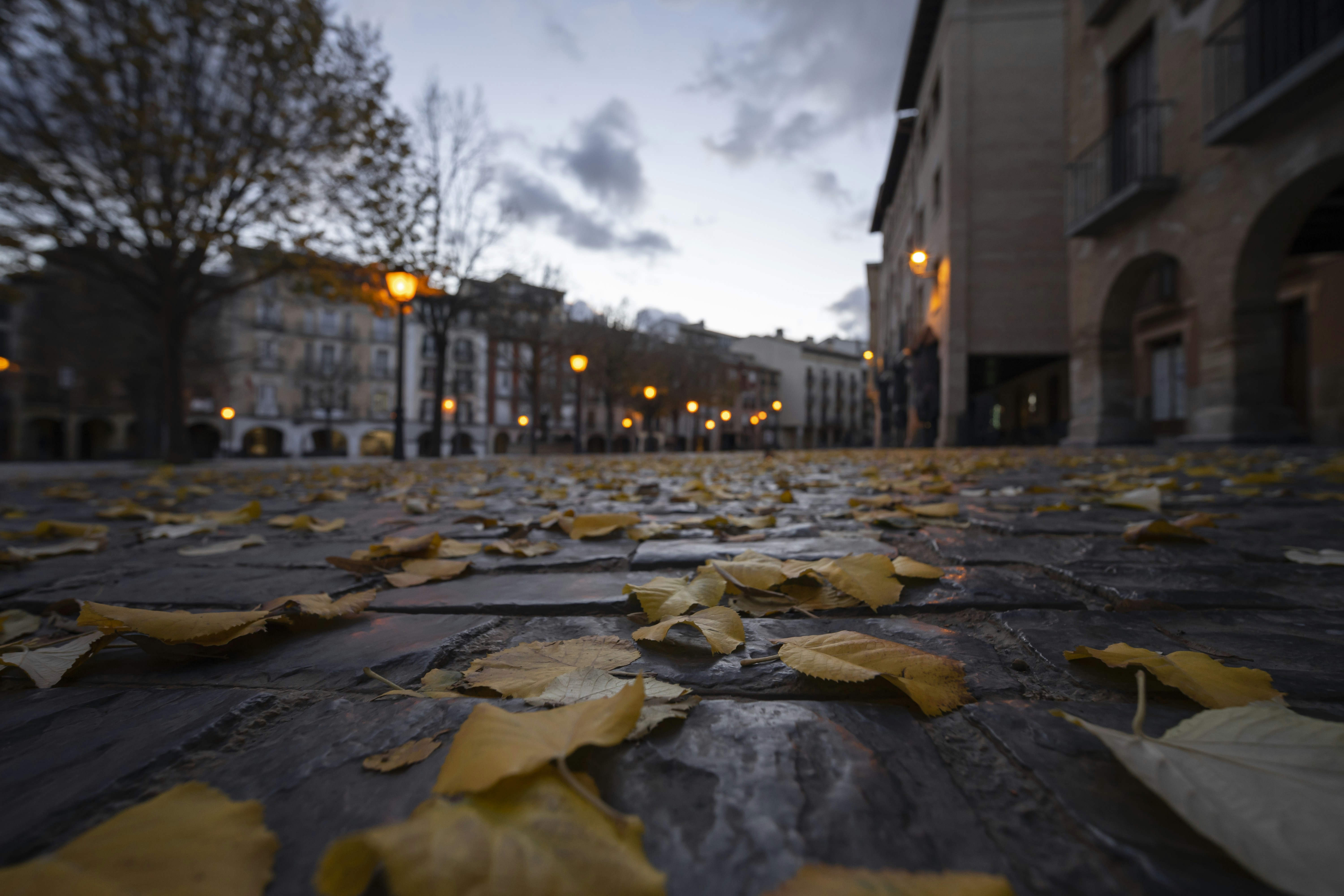 Photo by miguel garcia jimenez with Sony Alpha 7 II