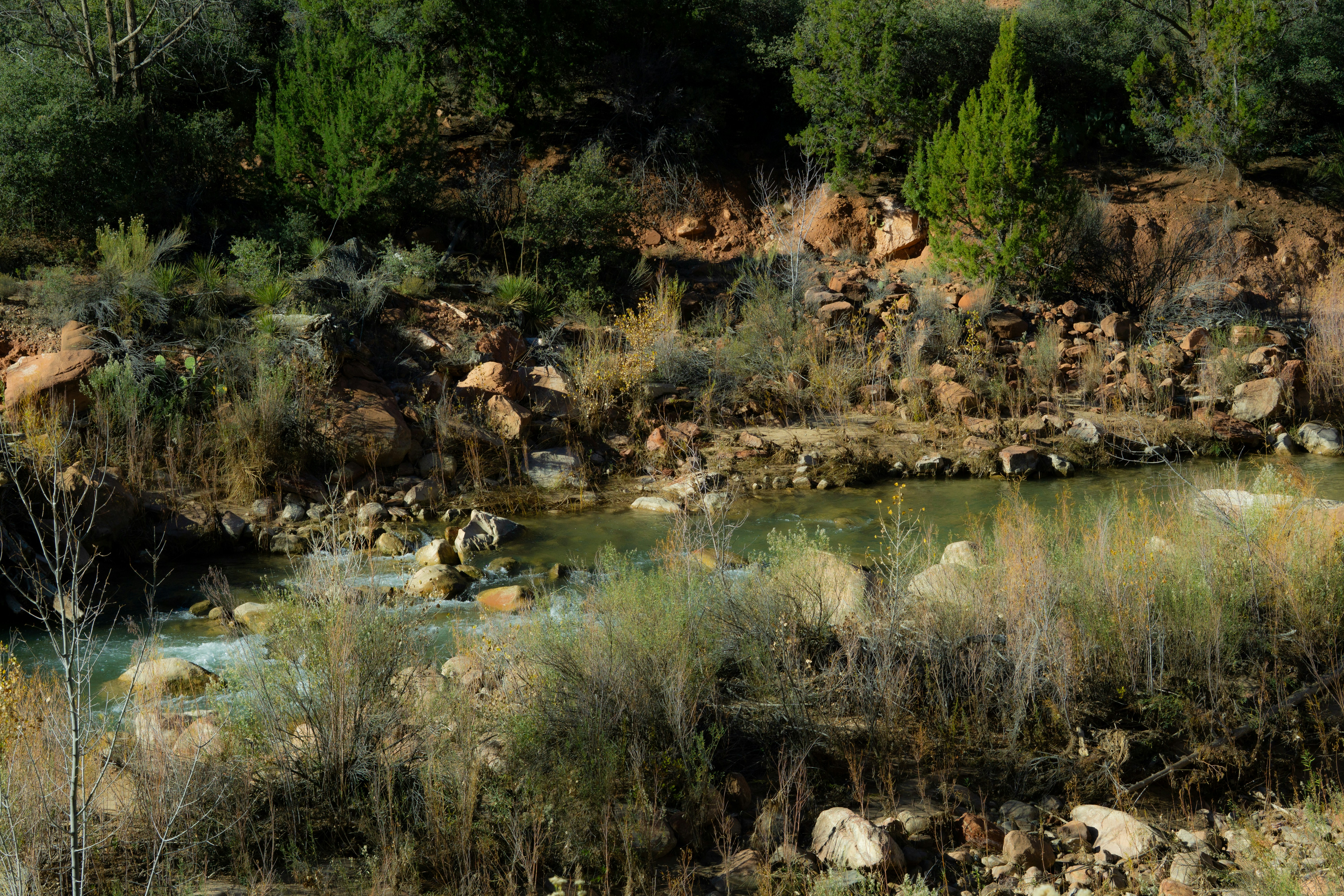 Rugged Riverbank: Sunlit Stones and Sage in a Quiet Gorge