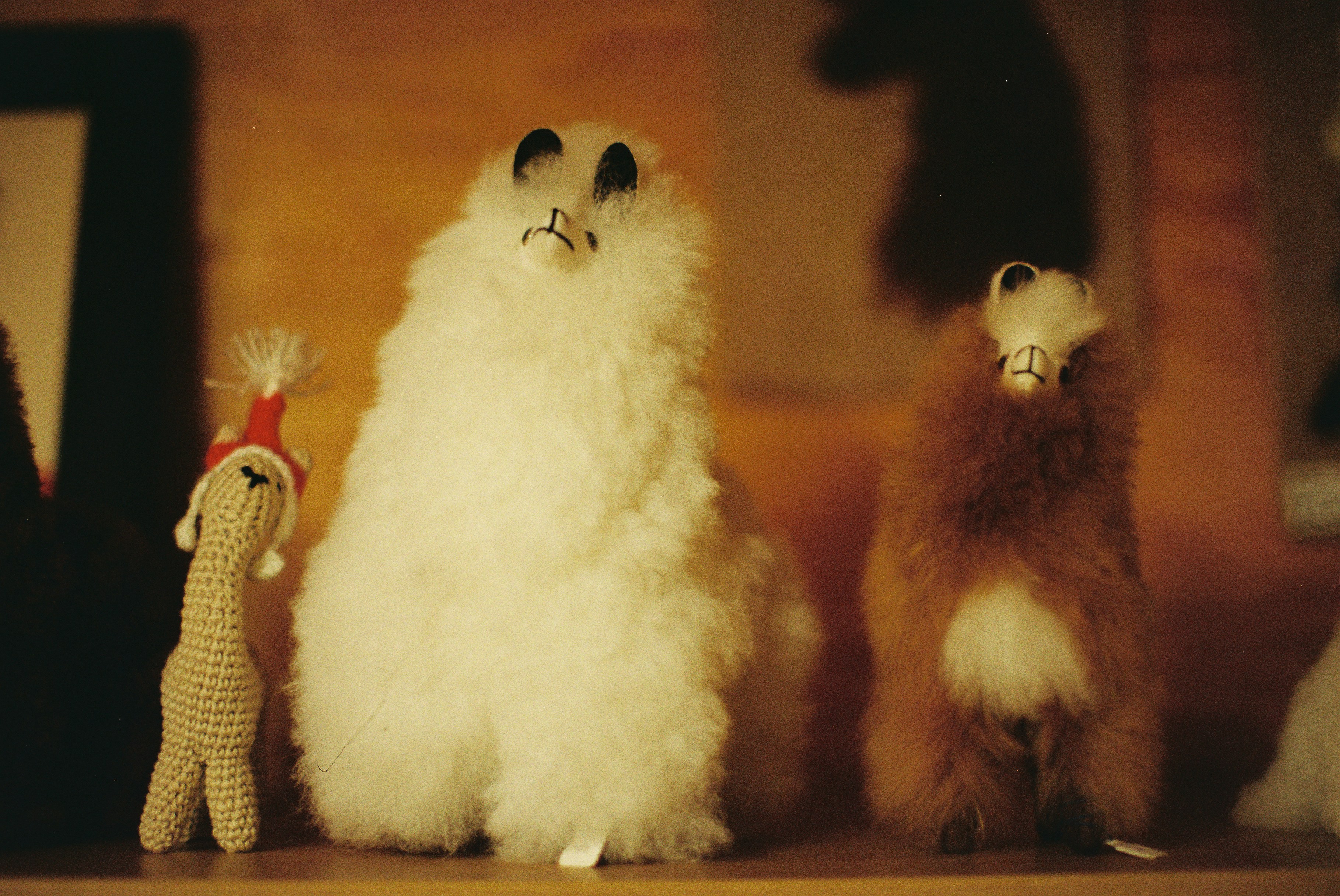 Three fluffy alpaca stuffed animals on a shelf. photo – Free Stuffed ...