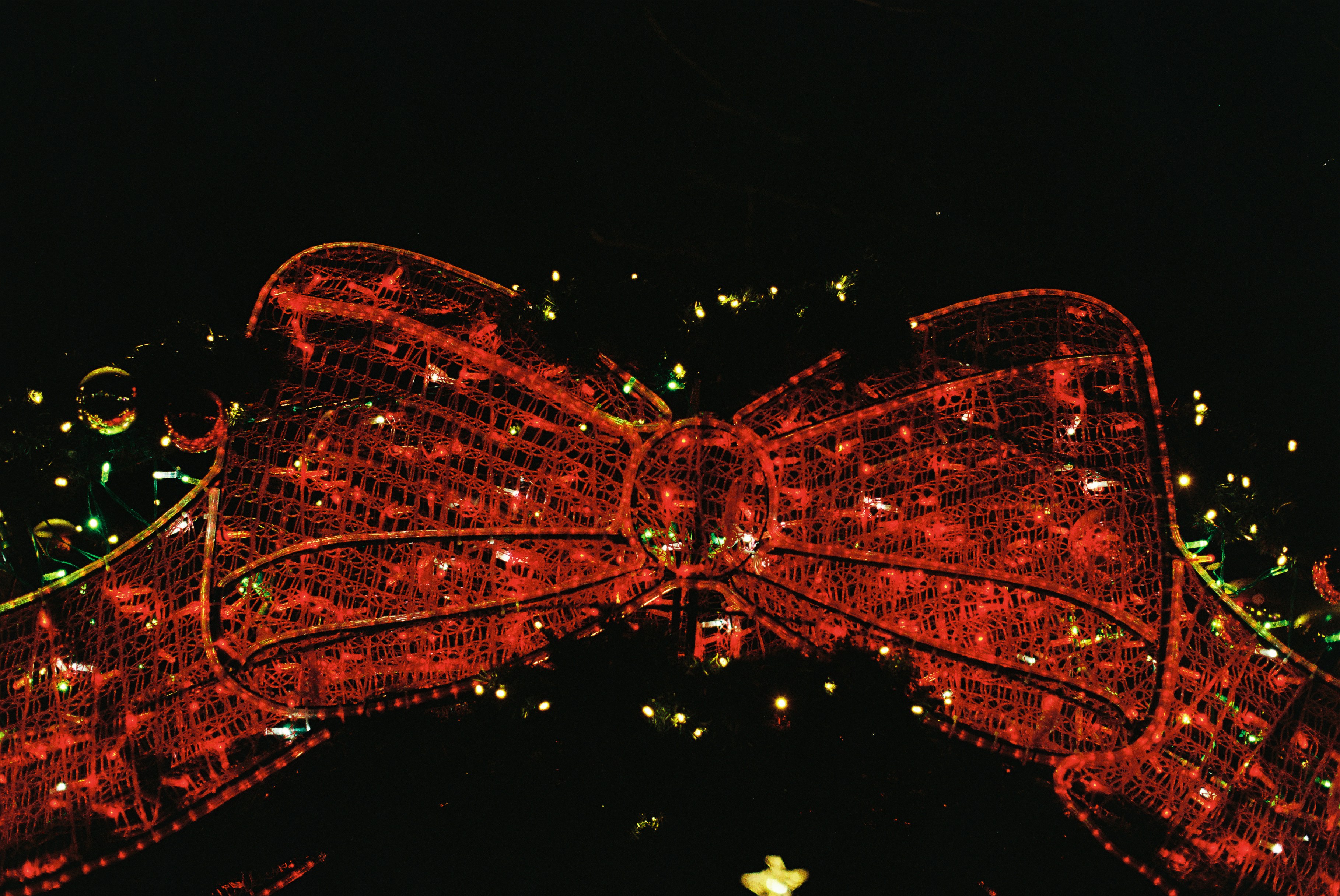 Red bow with sparkling lights on black background photo – Free ...