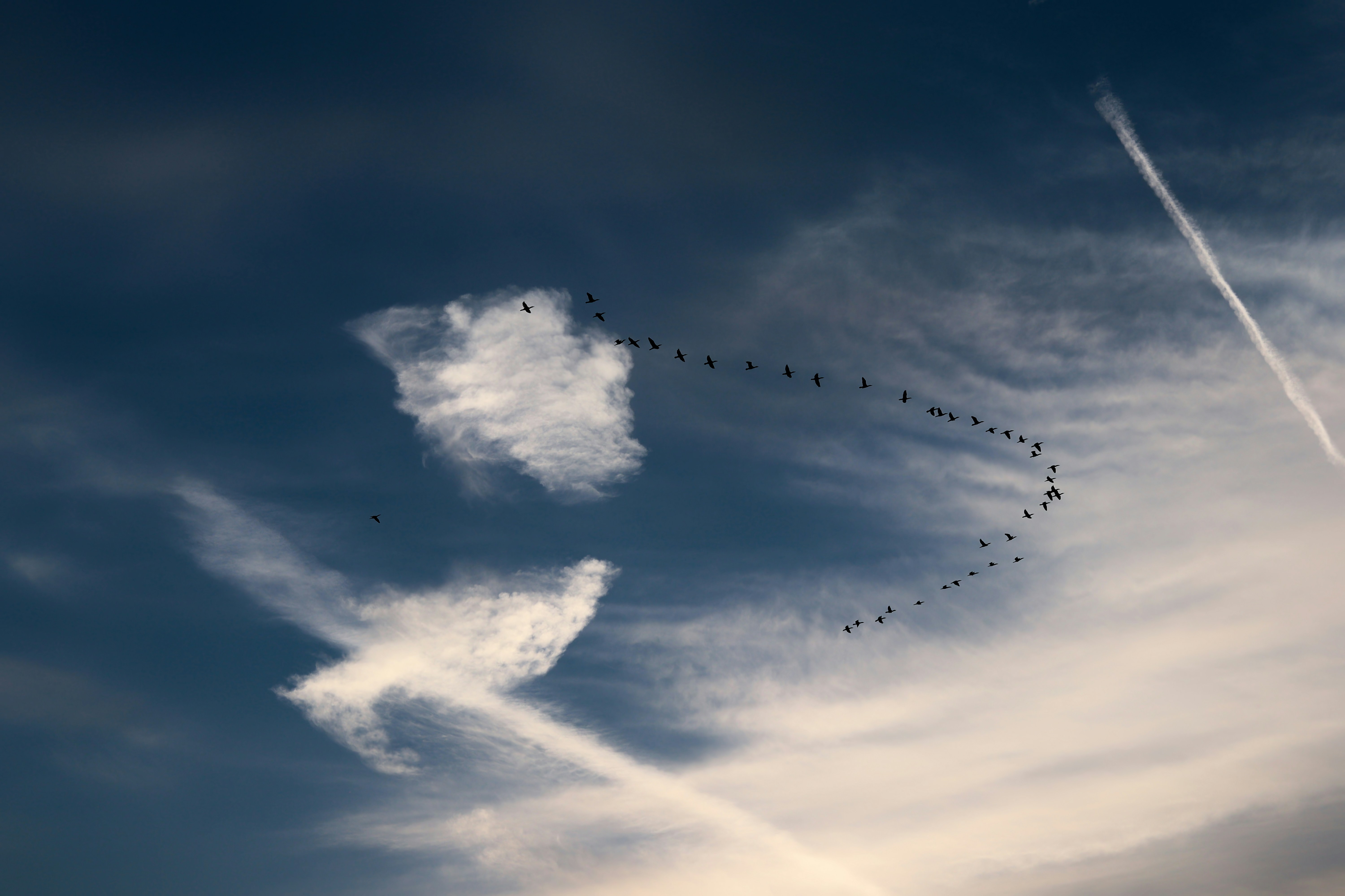 Flight Path Through Cassiopeia Sky