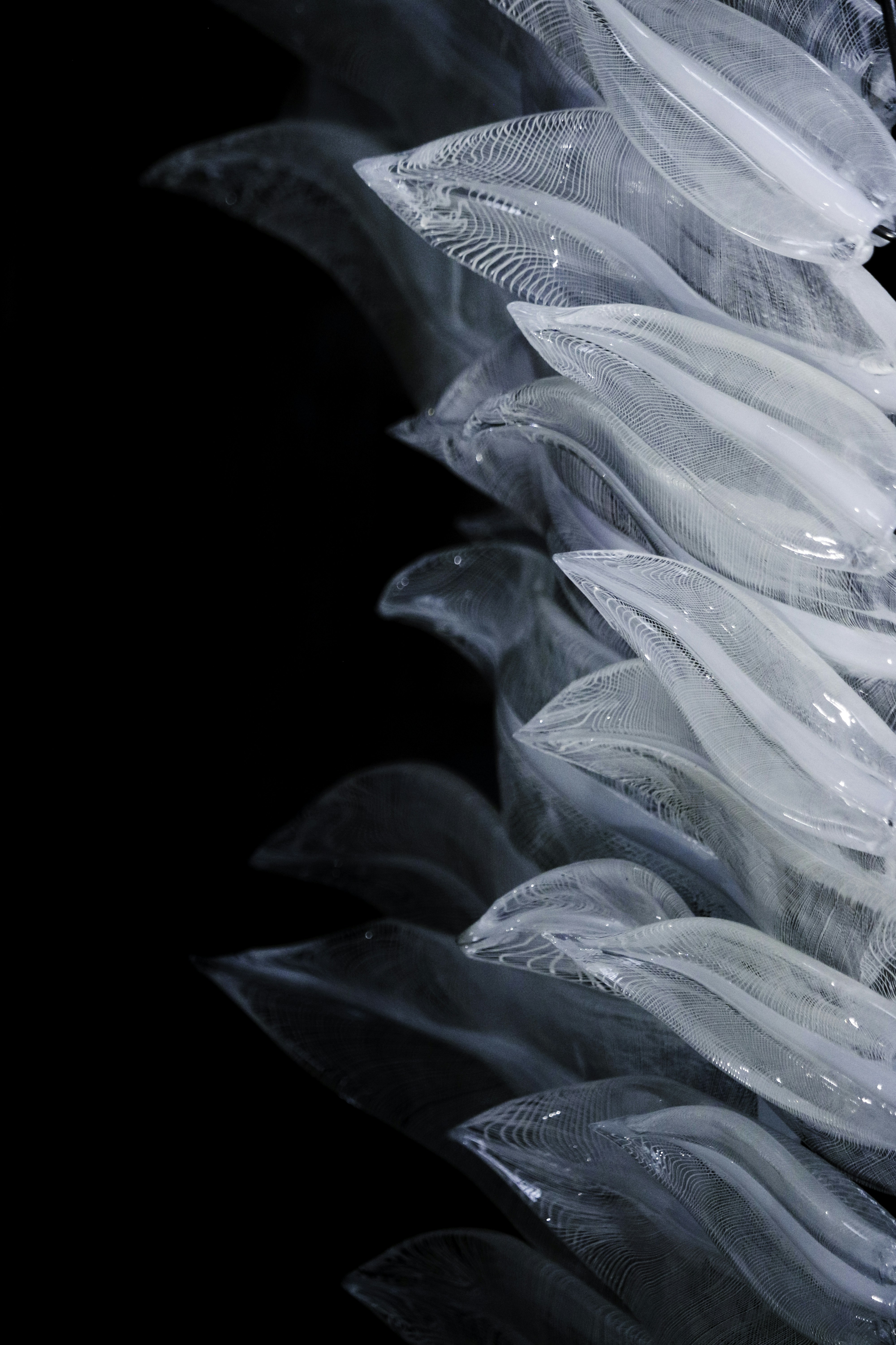 Frigid Fronds: A Close-Up of Ice Crystal Ridges along a Dark Edge