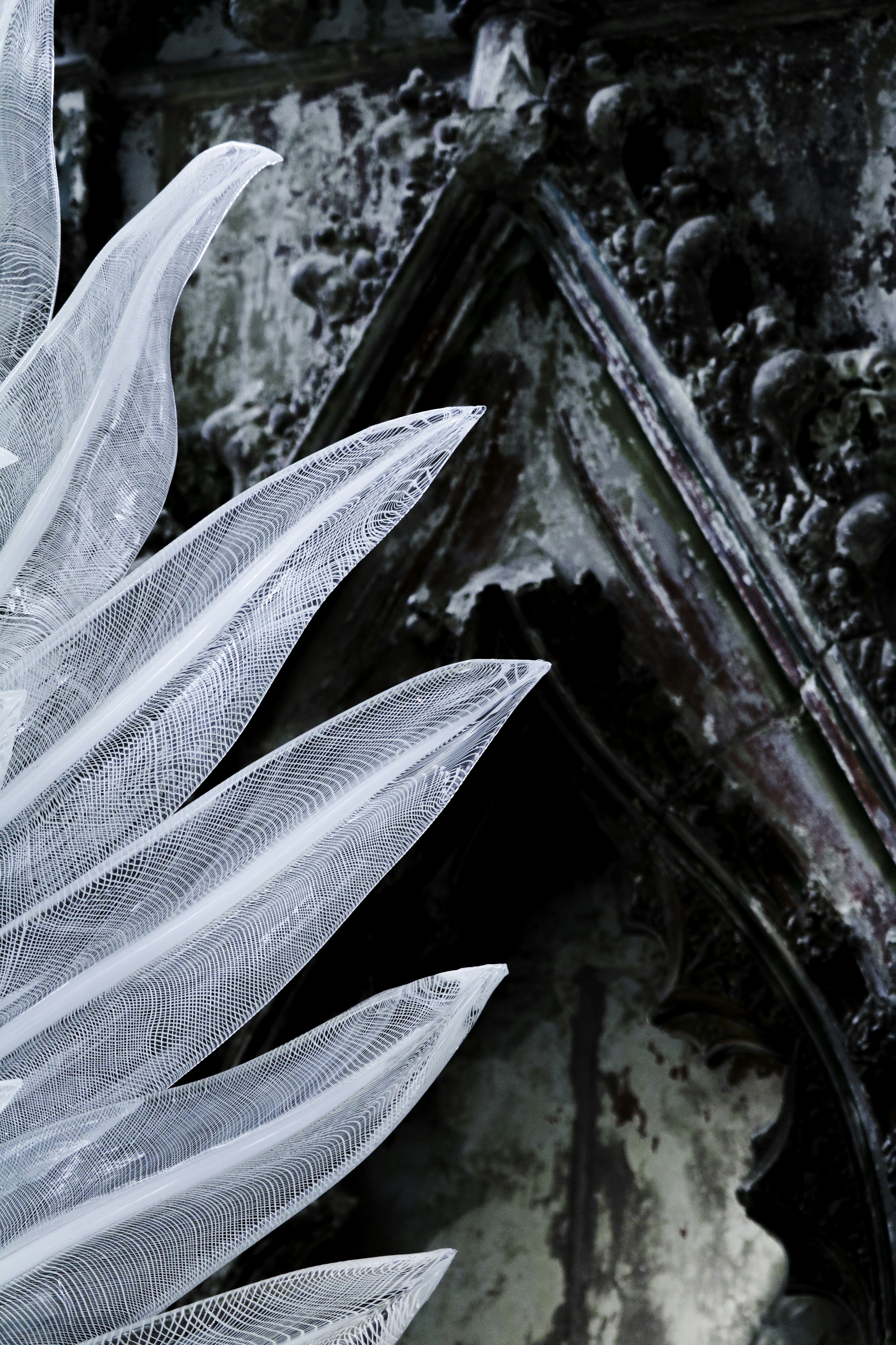 Desaturated Iris Against Weathered Arch