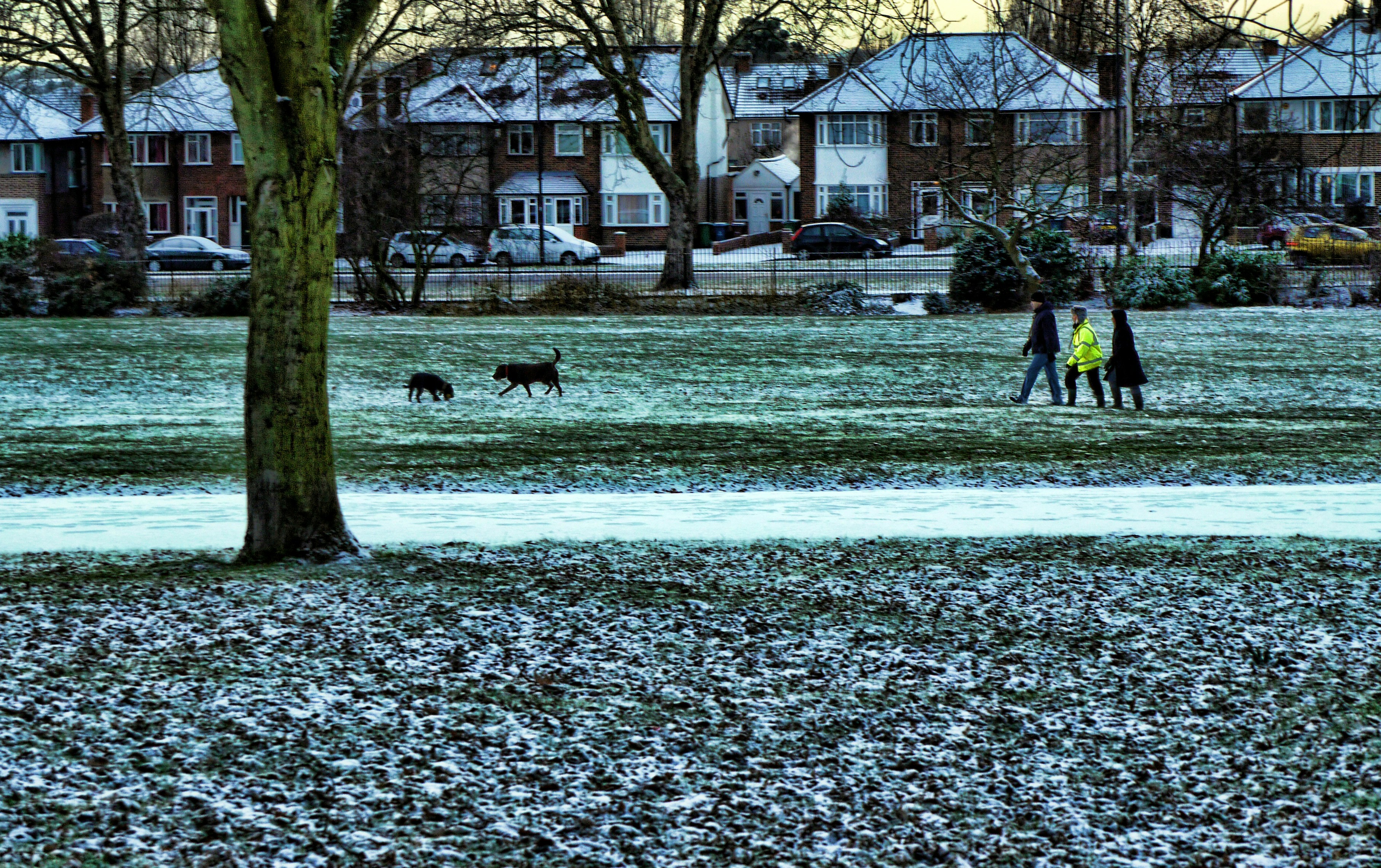 Winter Walk in a Suburban Park
