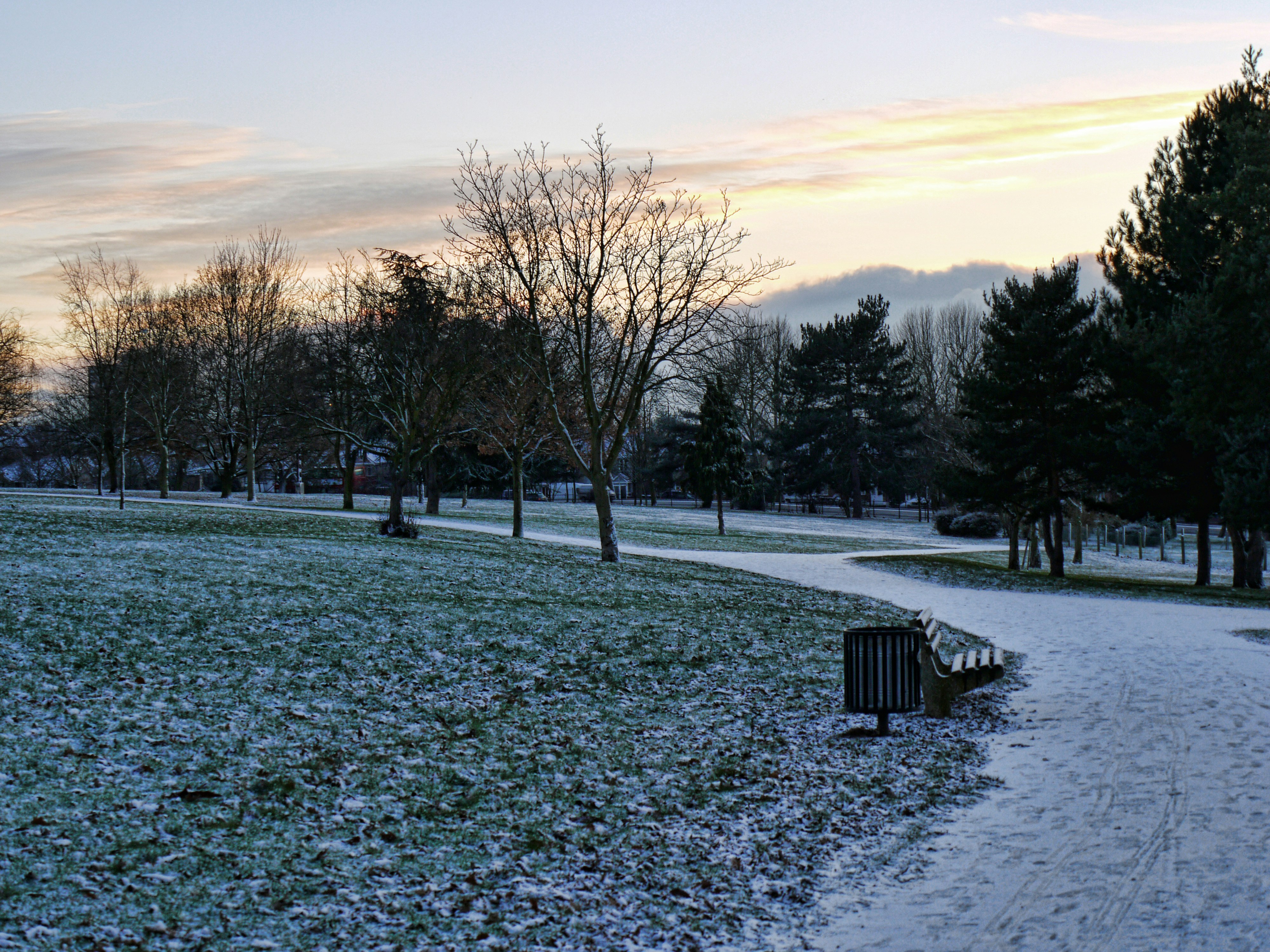 Snow-covered park path with trees and bench.