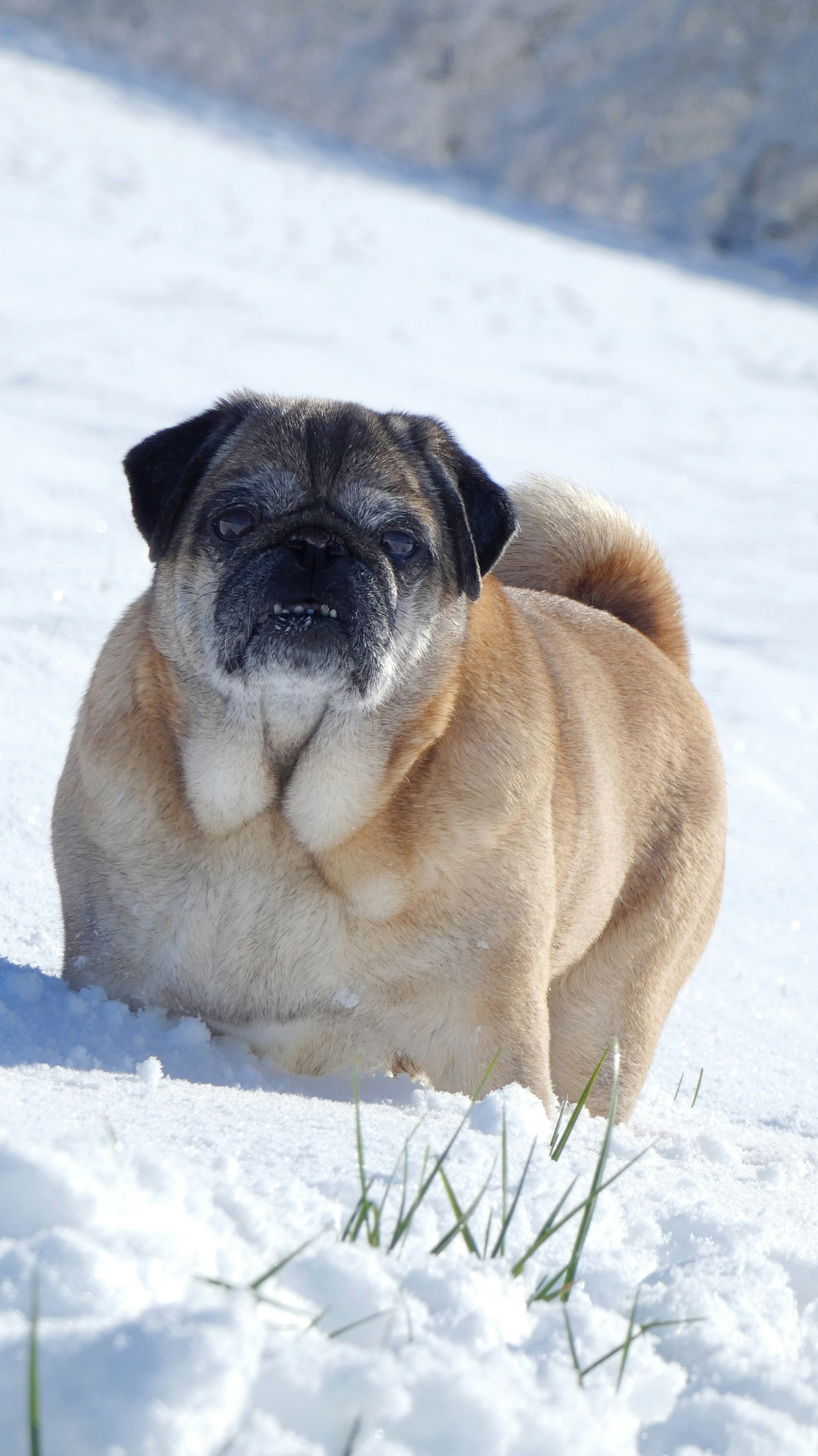 Photo by Jolina Vanessa Sterkel with Panasonic Lumix FZ82