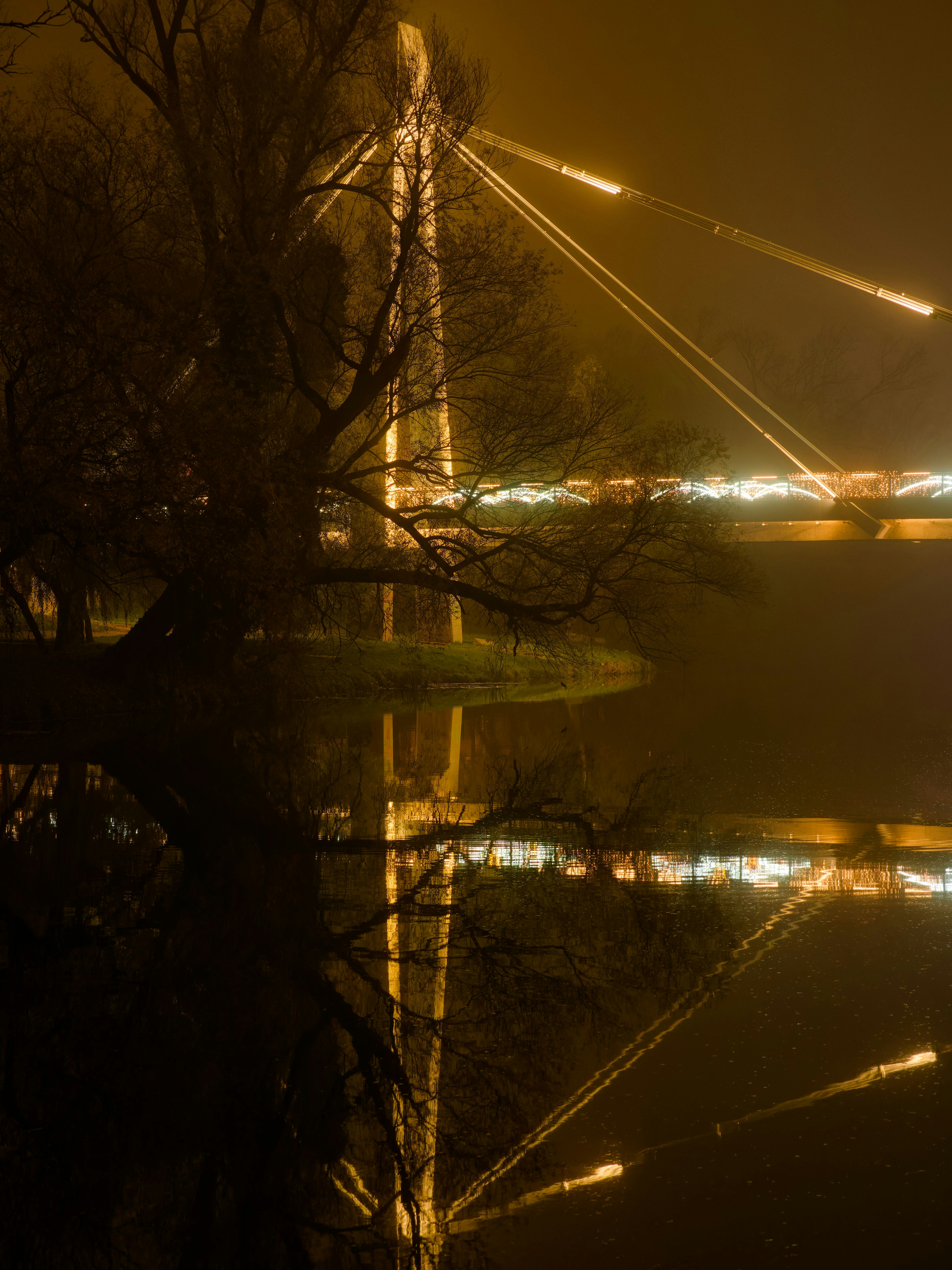Neon Reflections: A Night at the Cable-Stayed Bridge