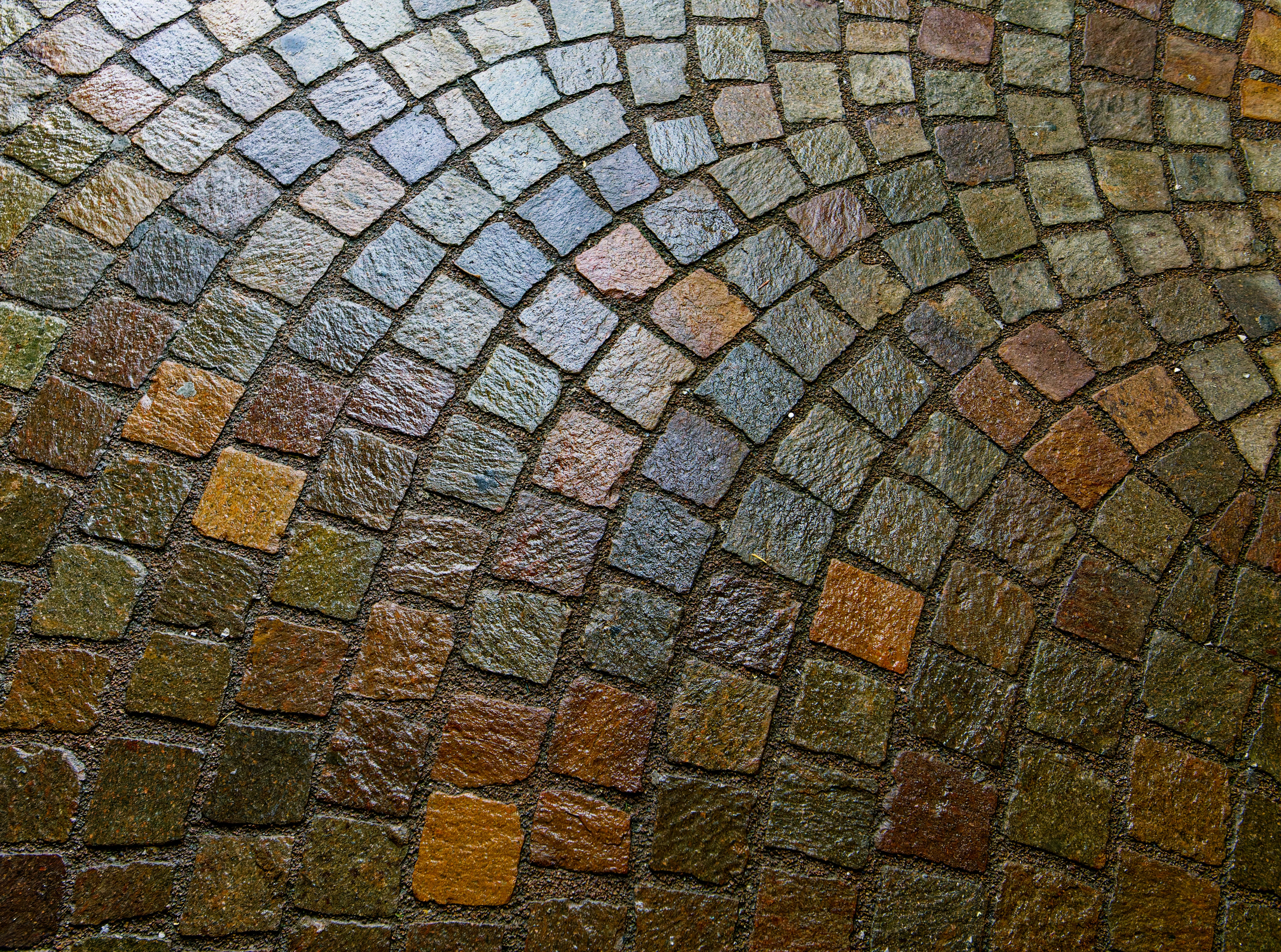 Cobblestone Mosaic: A Woven Garden of Earthy Tones