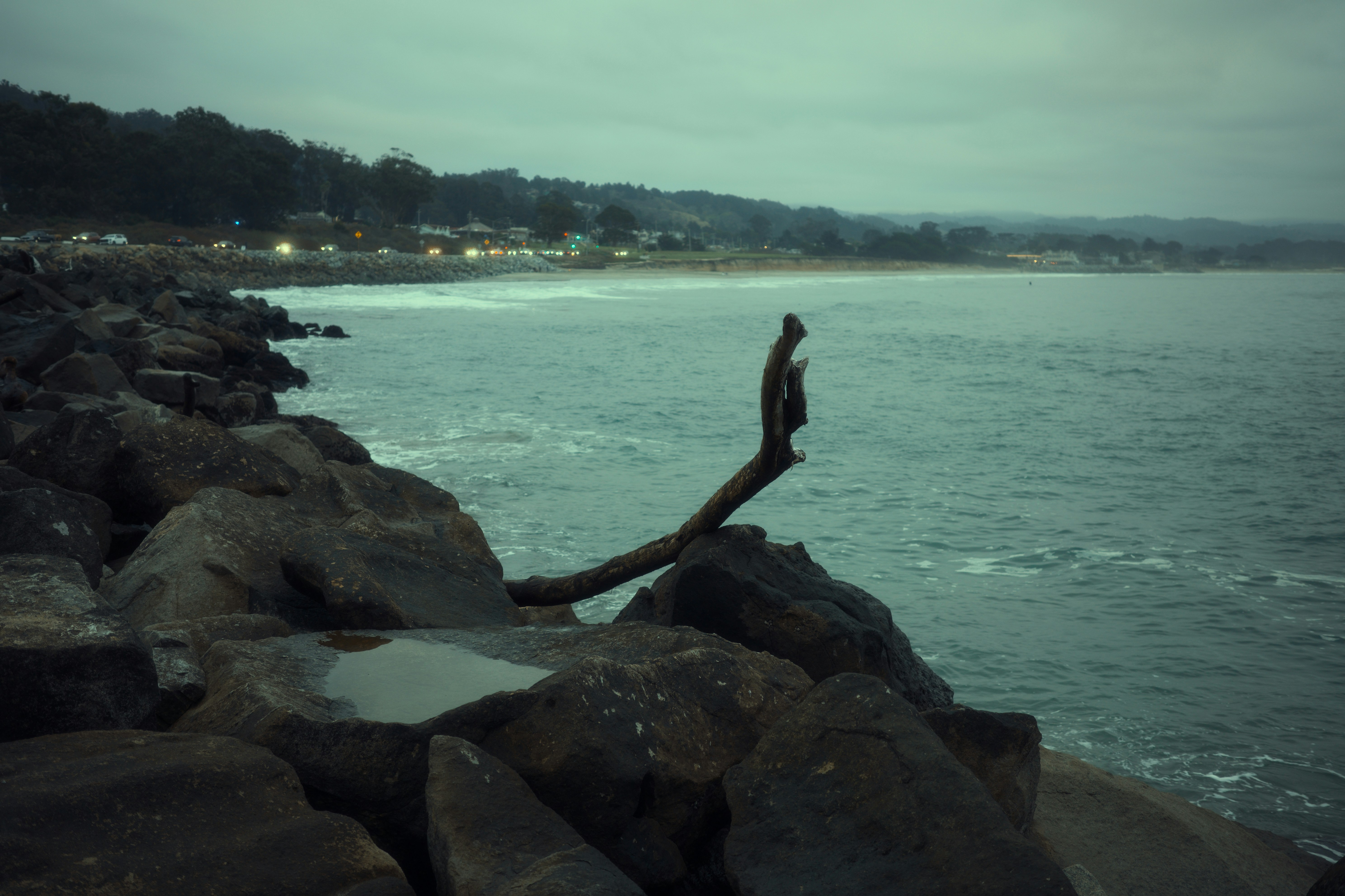 Driftwood Sentinel on the rocky shore under cool evening light