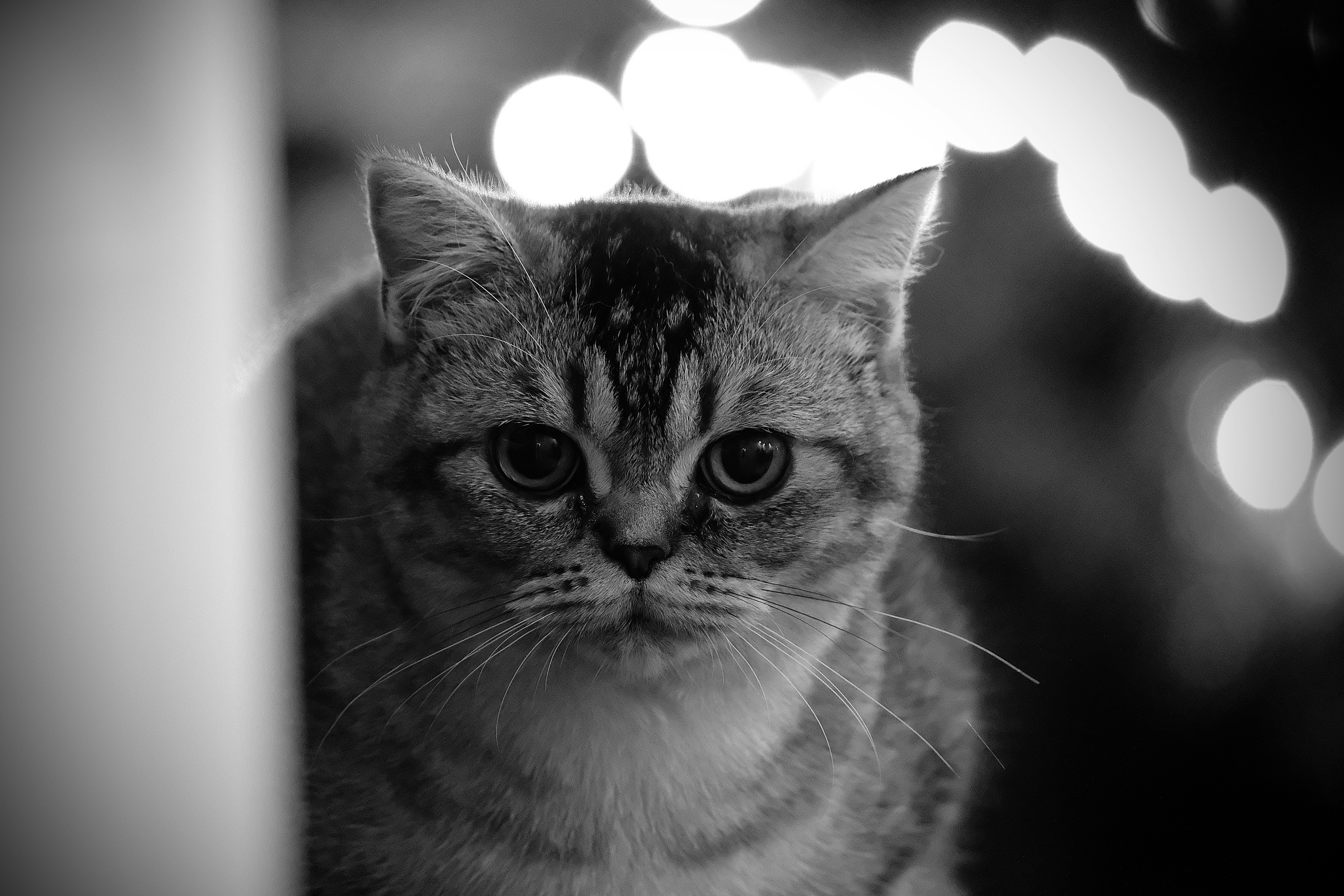 Photo by Jan Keller with Fujifilm X-H1