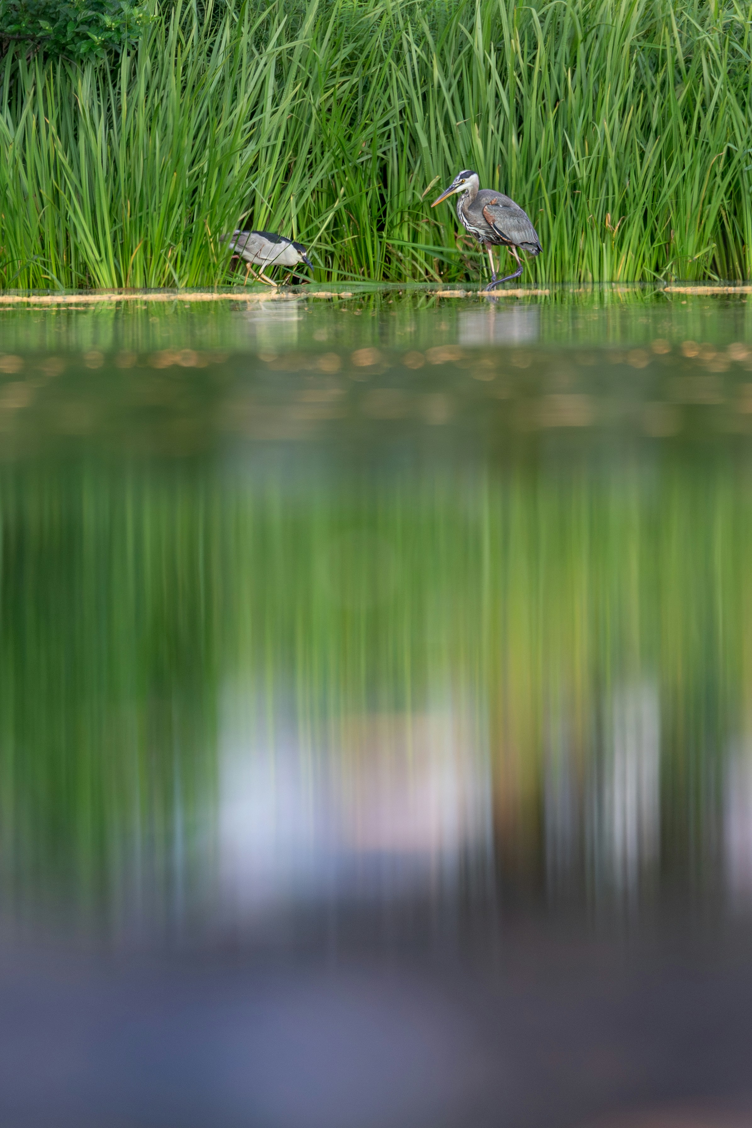 Photo by Iryna Klishch with Sony Alpha 9 II