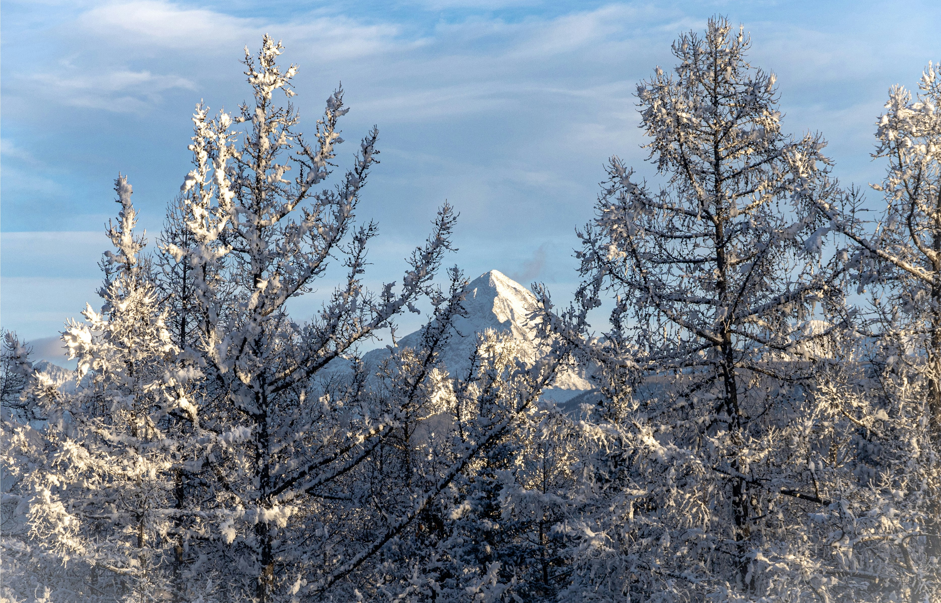 Mongolia Khuvsgul Delger Khan mounting