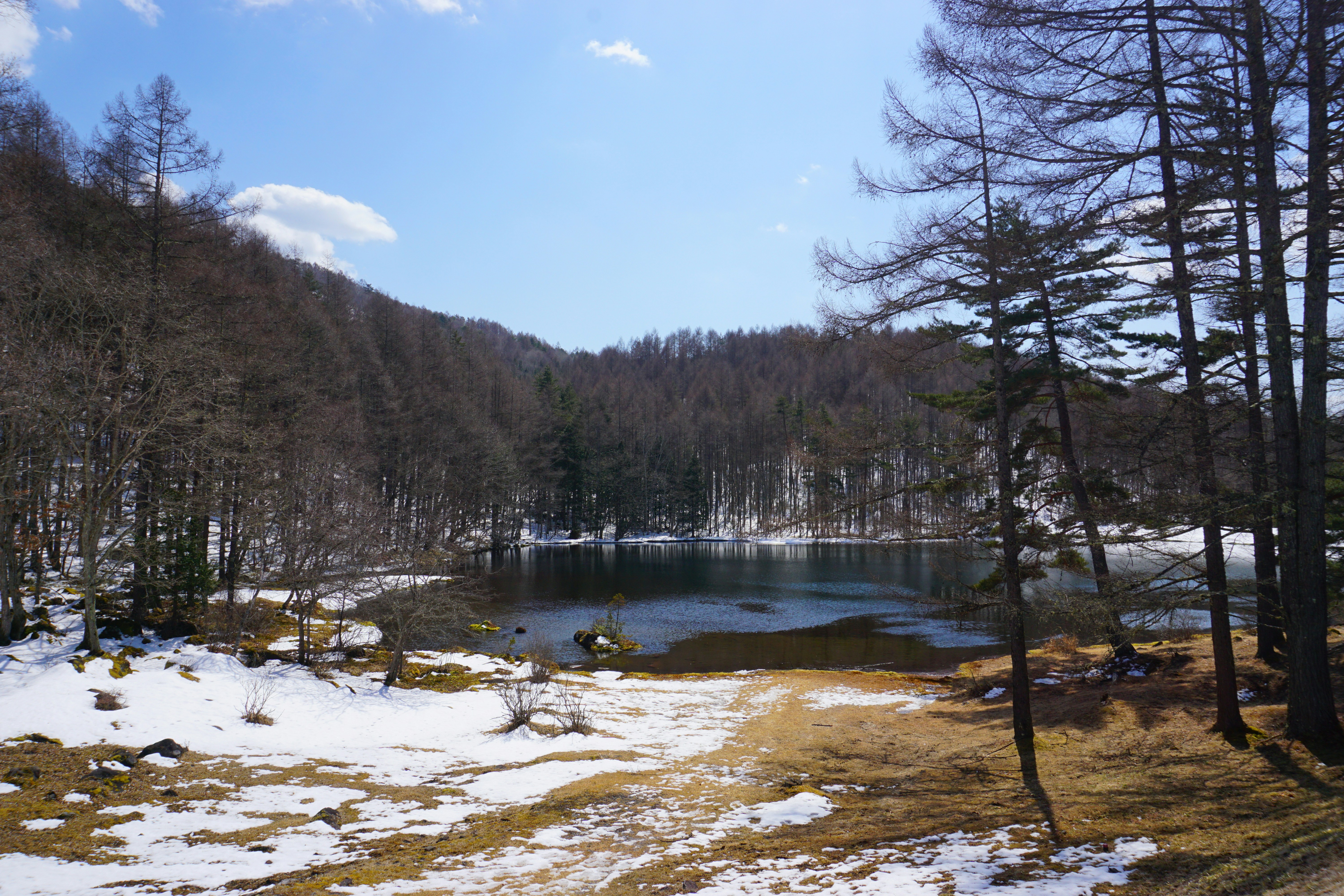 Snow-veiled lakeside in late-wall forest light