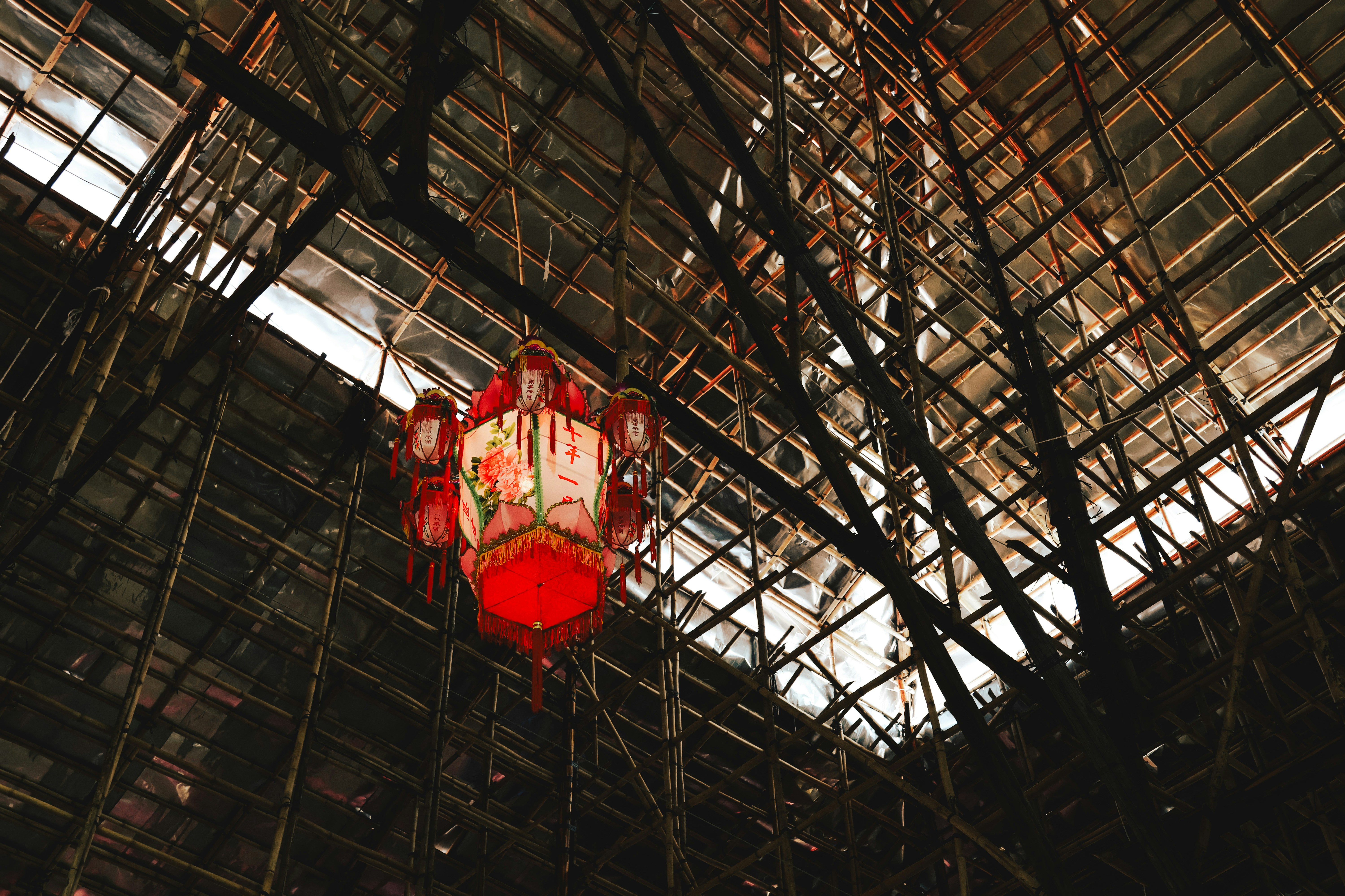 Photo by B C with Canon EOS R10