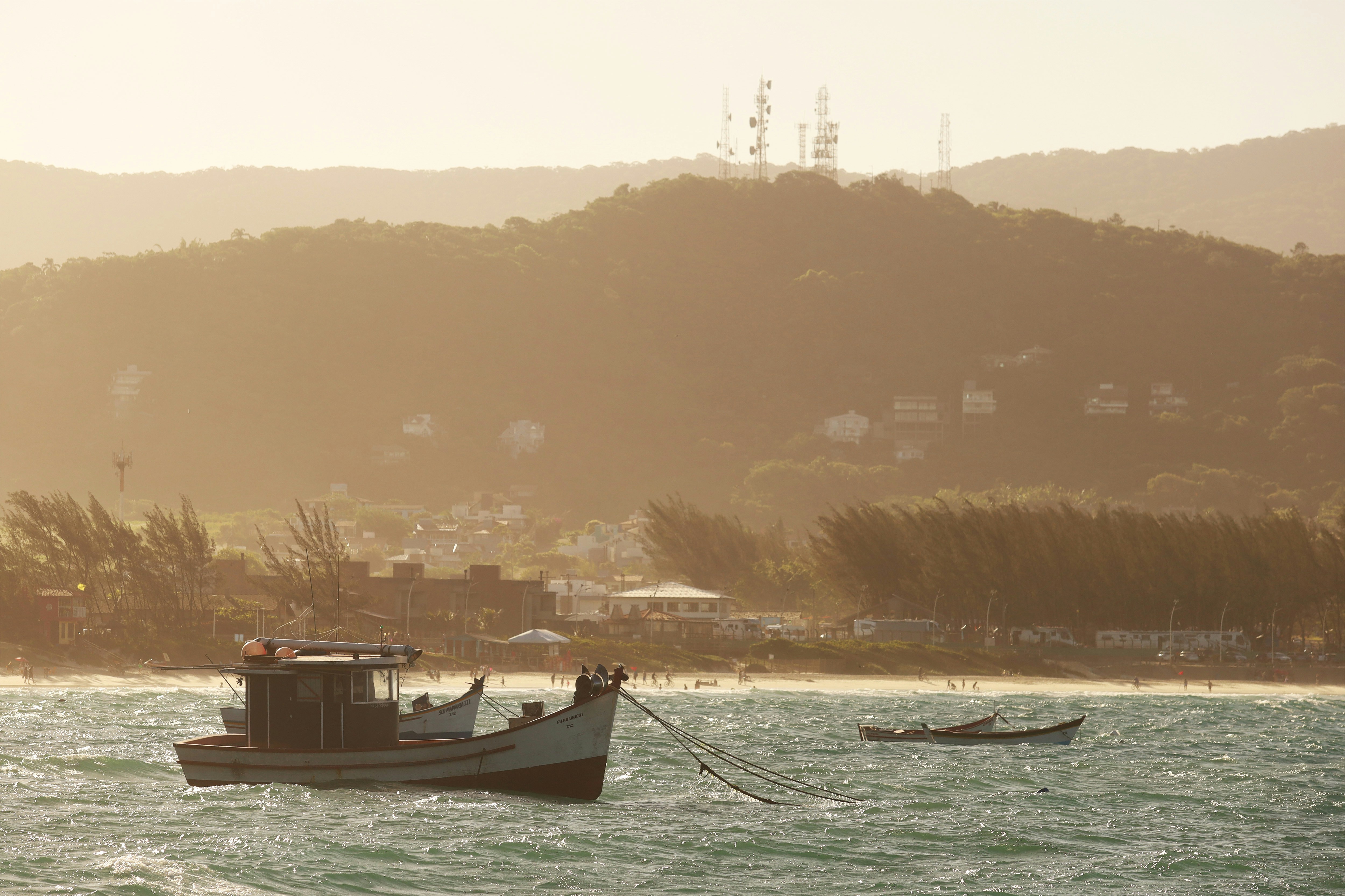 Harbor at Dusk: Boats Resting in Golden Light