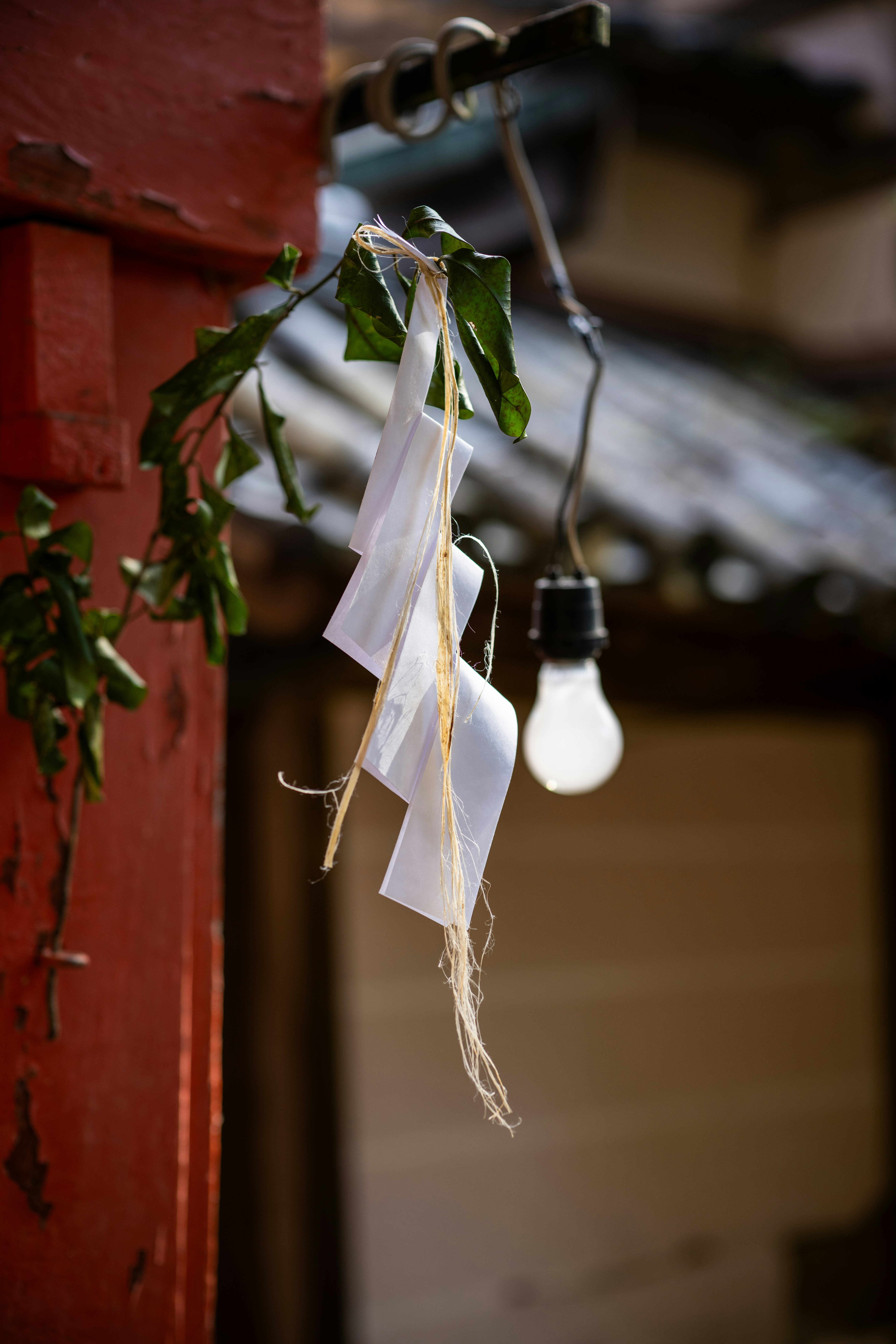 Torn Talisman and Bare Bulb: A Quiet Ceremony on the Porch