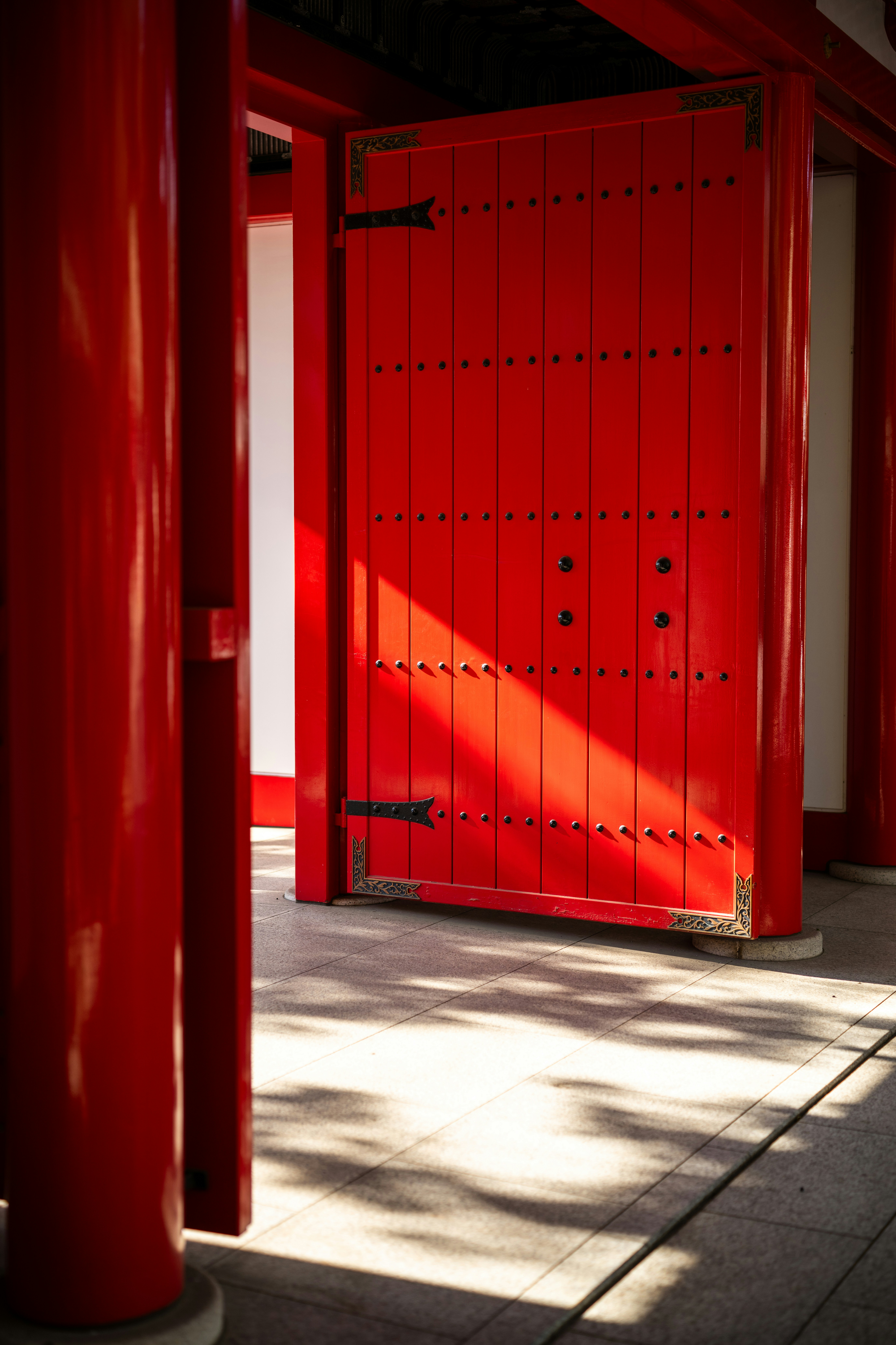 Photo by Kouji Tsuru with Nikon Z9