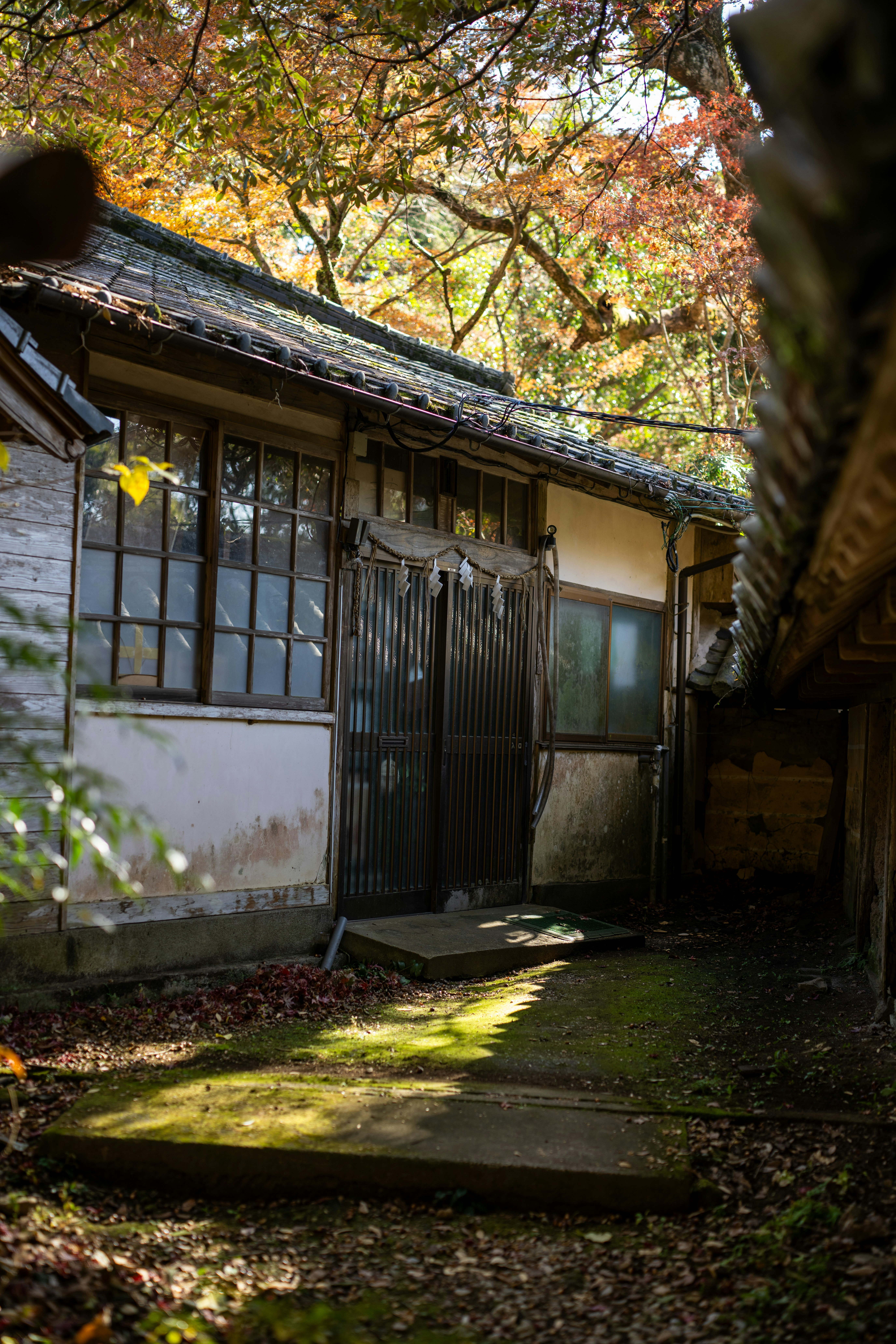 Quiet Yokai of Autumn: A Weathered Ryokan Gate Surrounded by Dappled Light