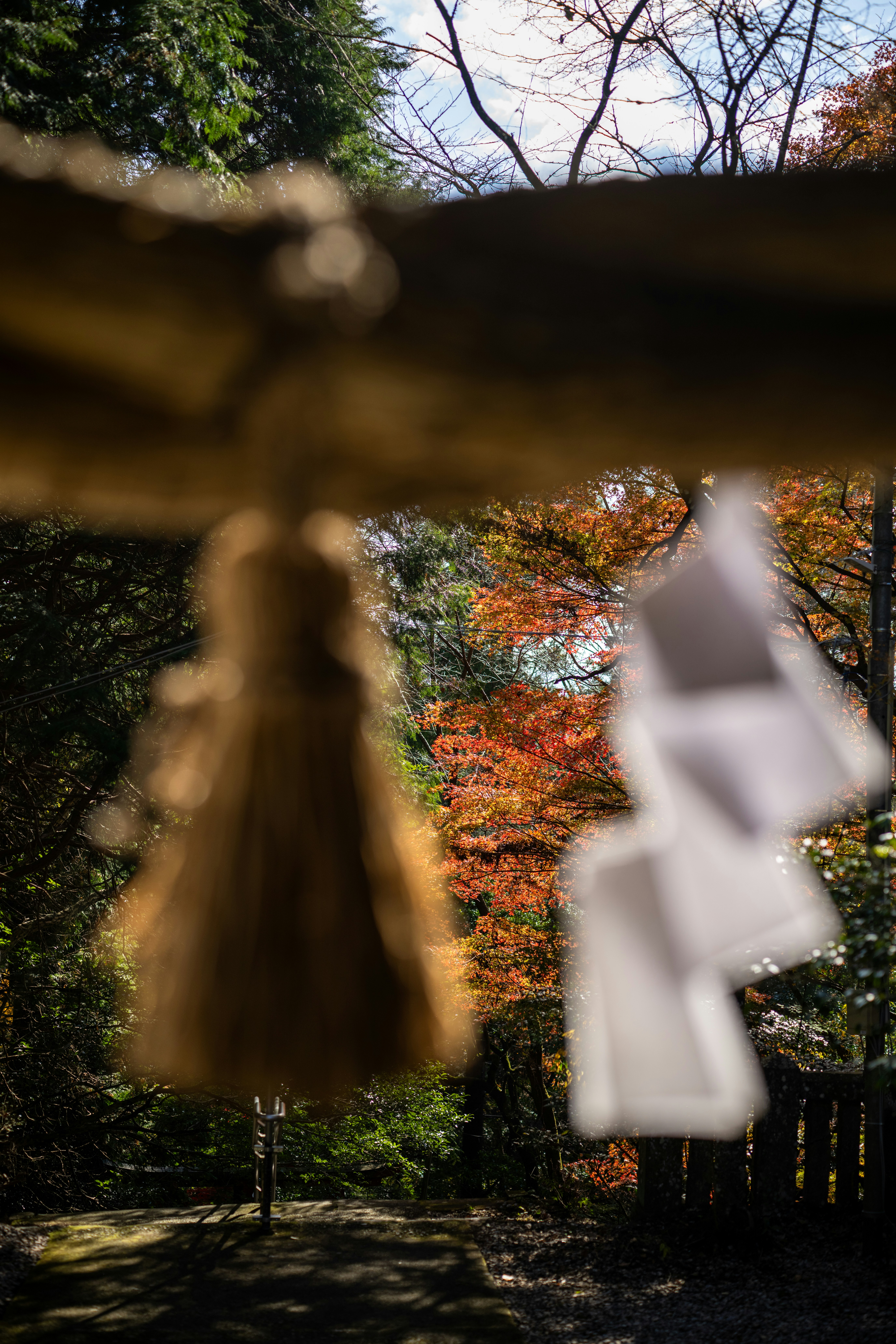 Blurred Shinto Strips: A Quiet Shrine Scene Through a Waiting Rope