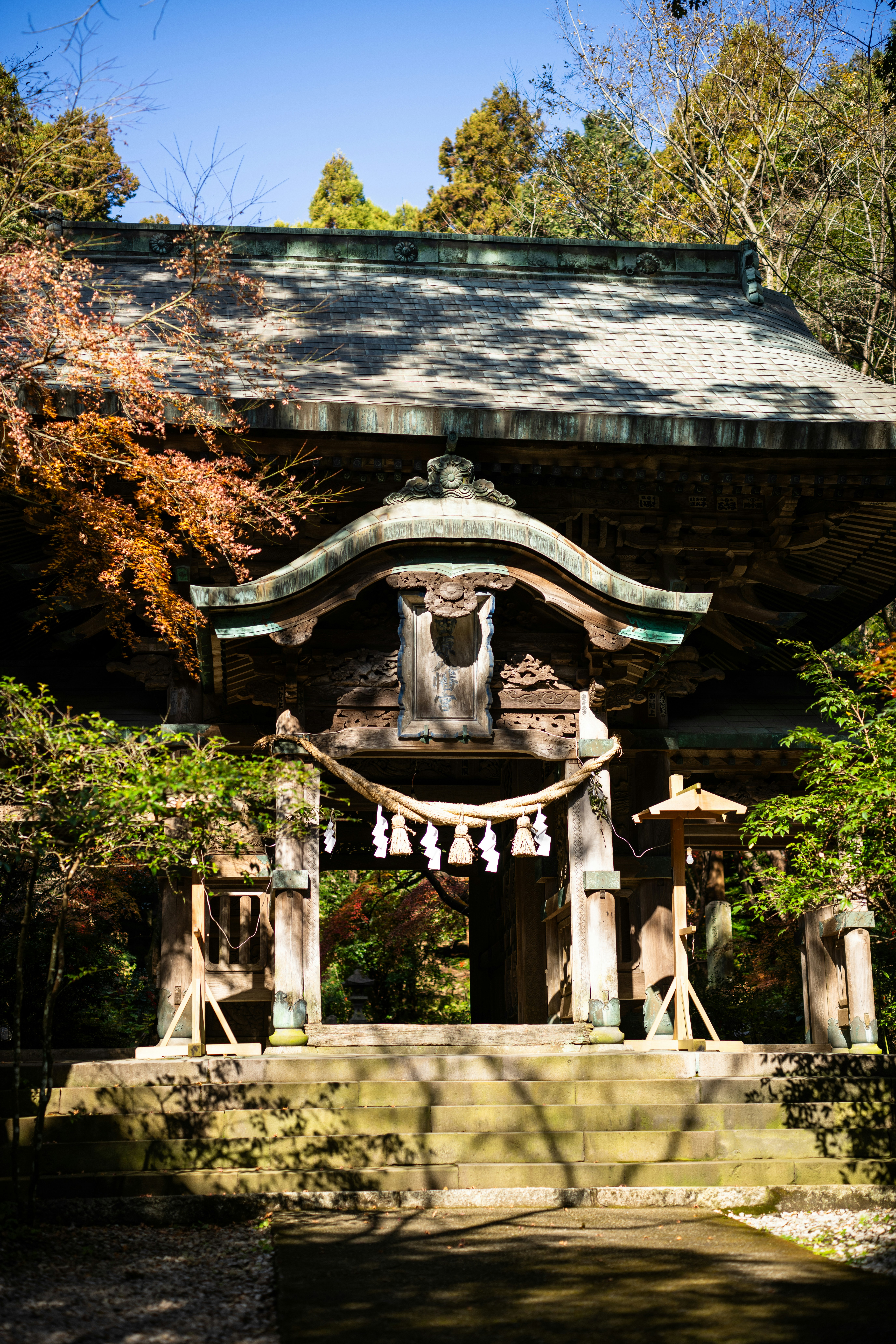 Temple Gate in Dappled Autumn Light