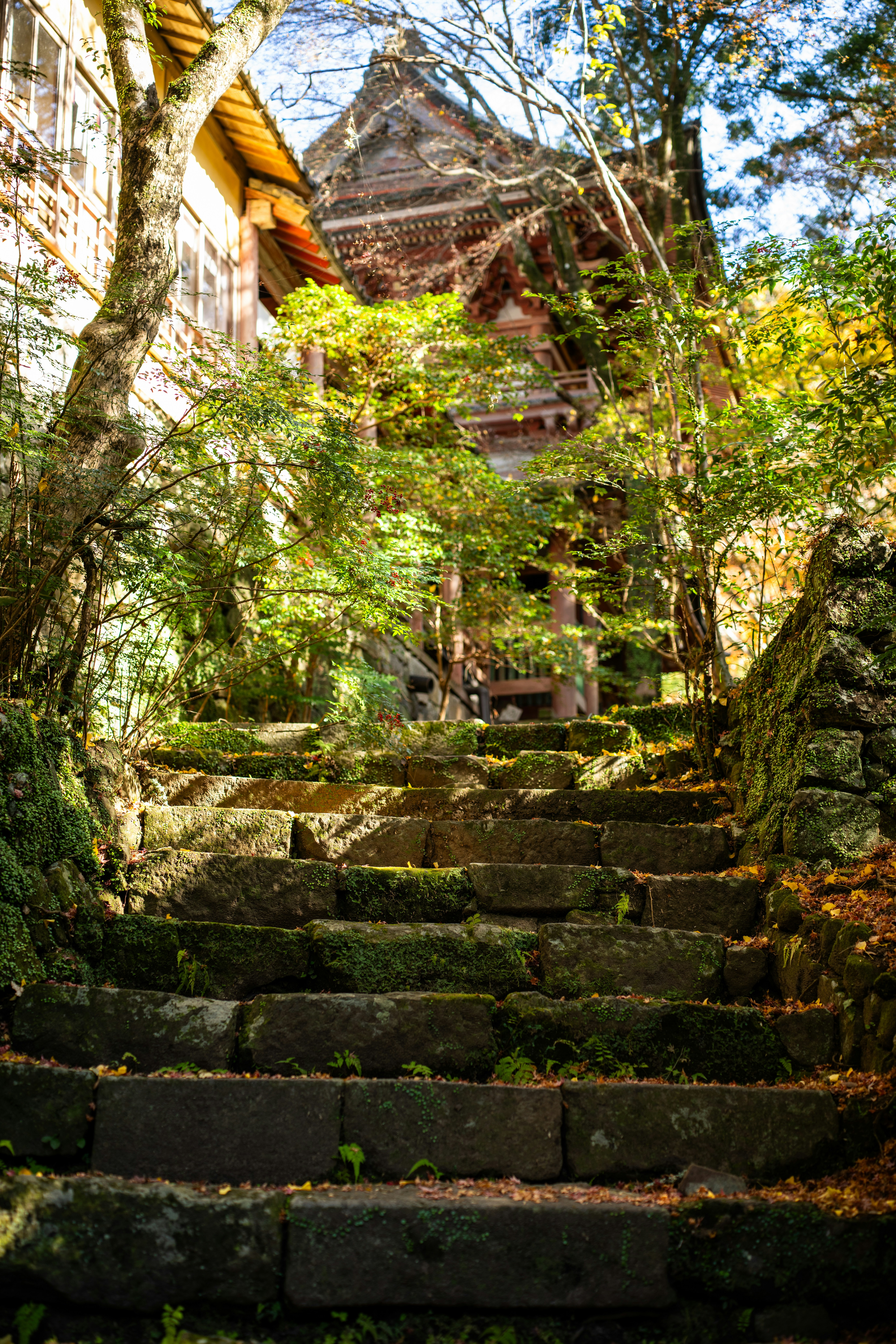 Photo by Kouji Tsuru with Nikon Z9