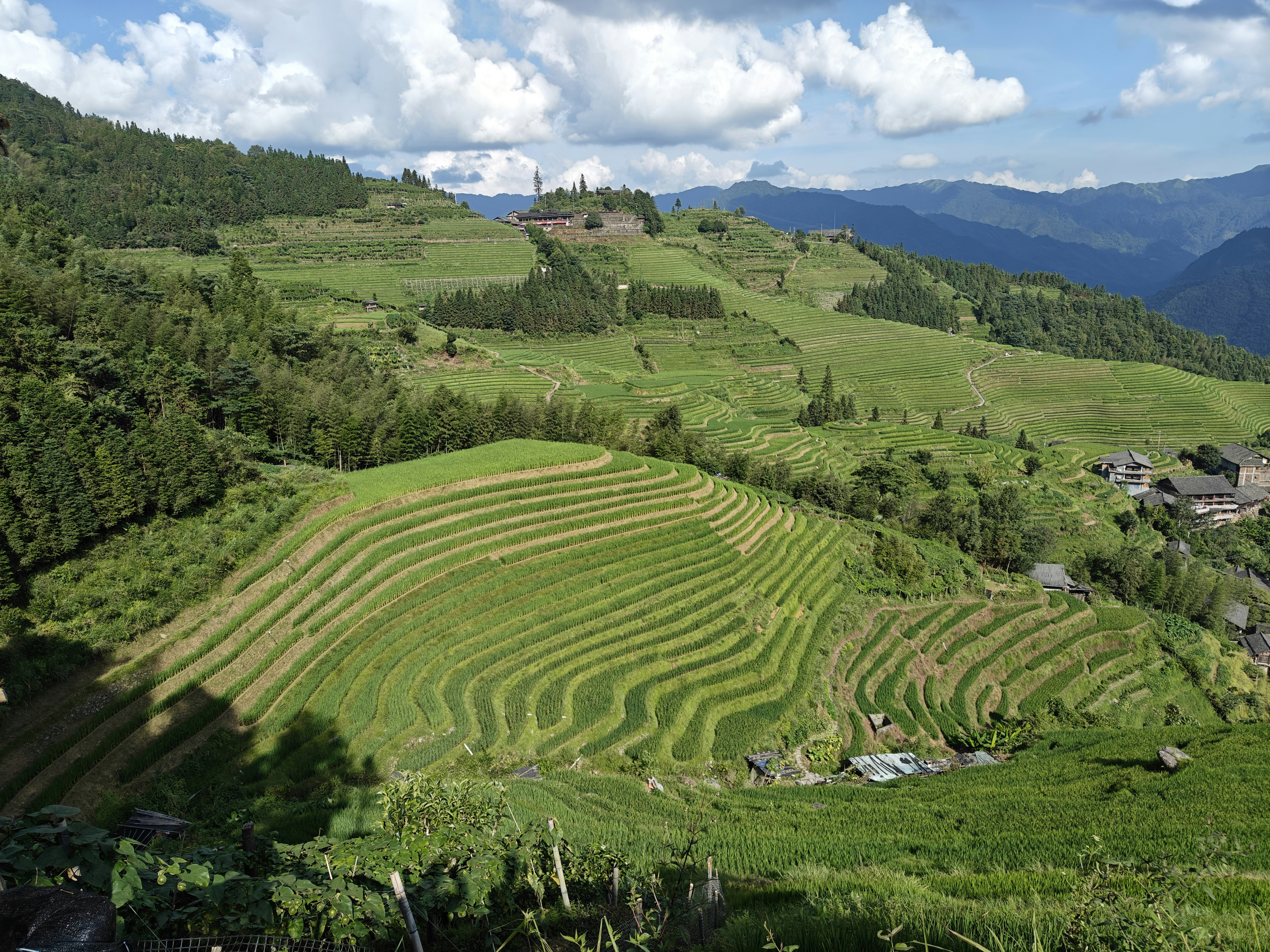 Terraced Green Hills: A Quiet Panorama of Mountain Farmlands
