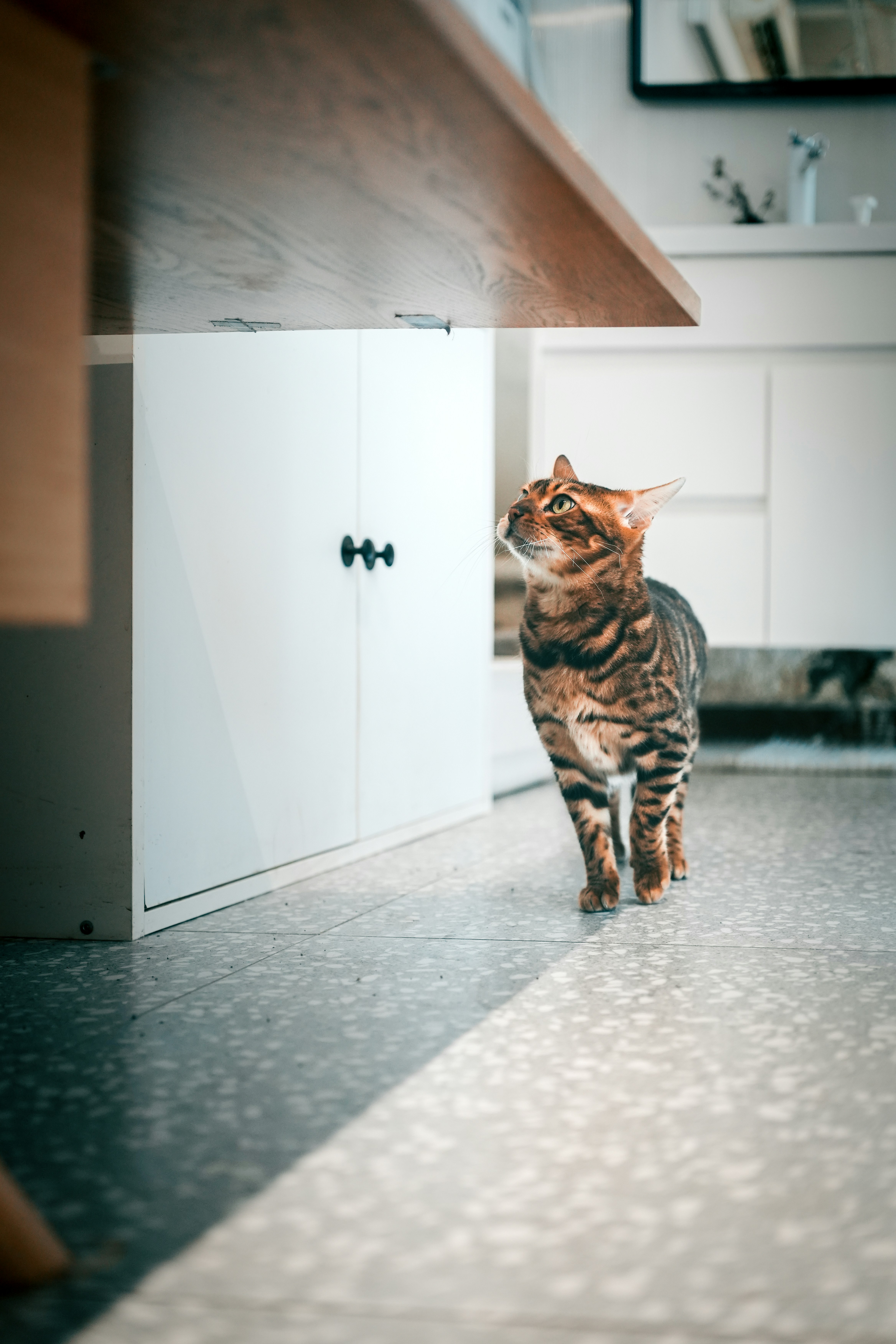 Photo by Hyory Liu with Sony Alpha 7C II