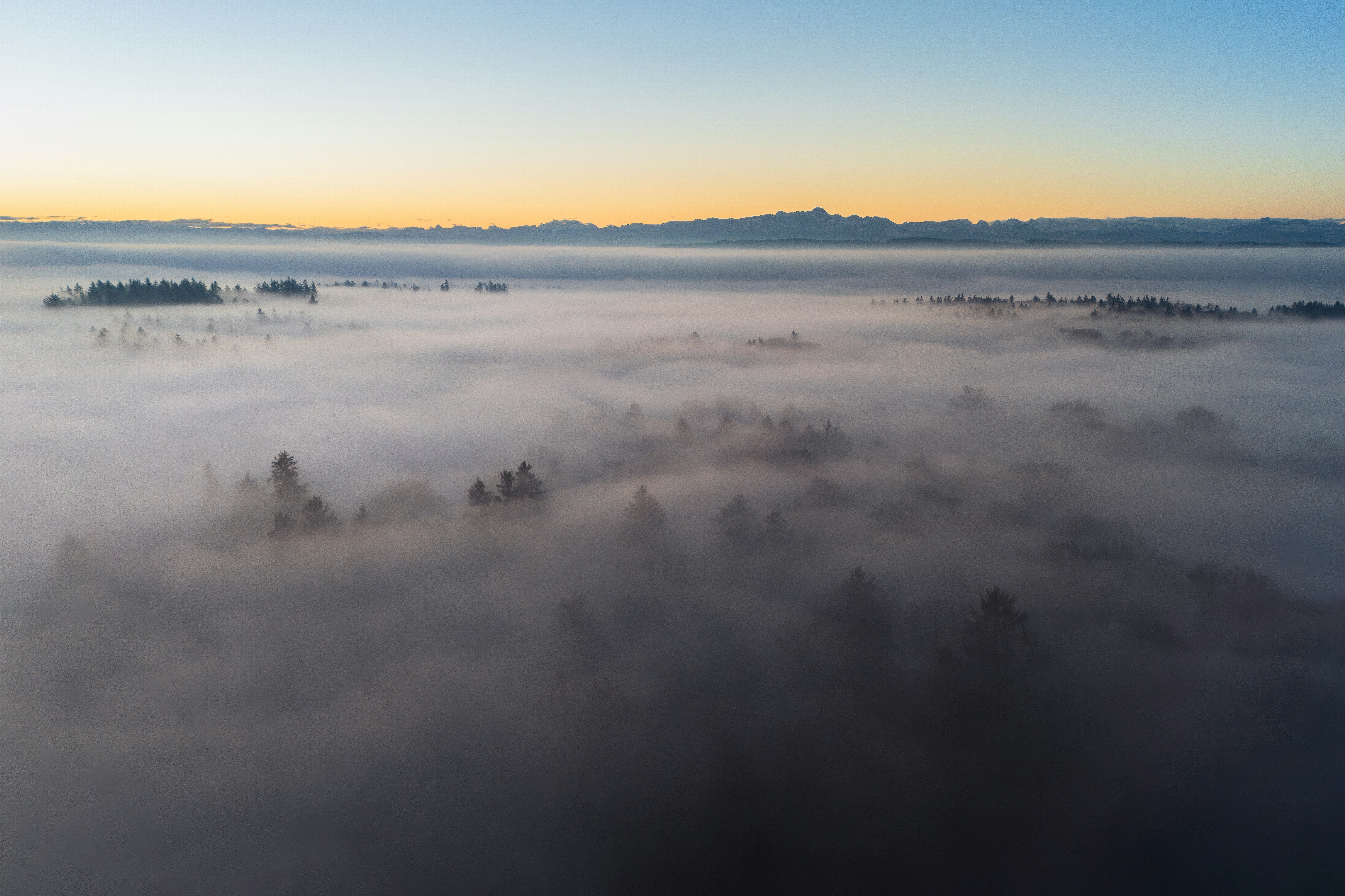 Dawn Veil: Mist-Lit Pines Above a Quiet Lake