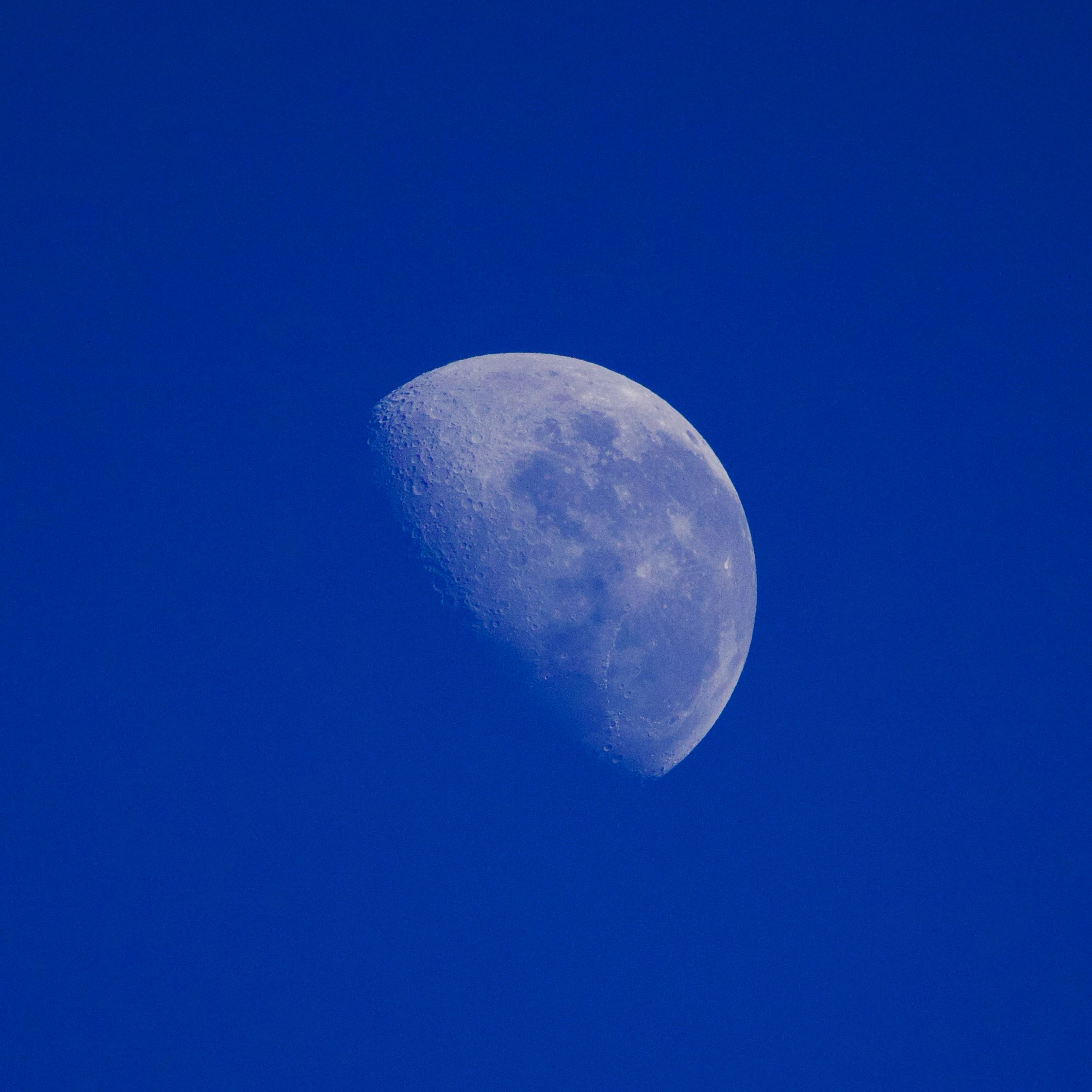 Half moon against a deep blue sky. photo – Free Space Image on Unsplash