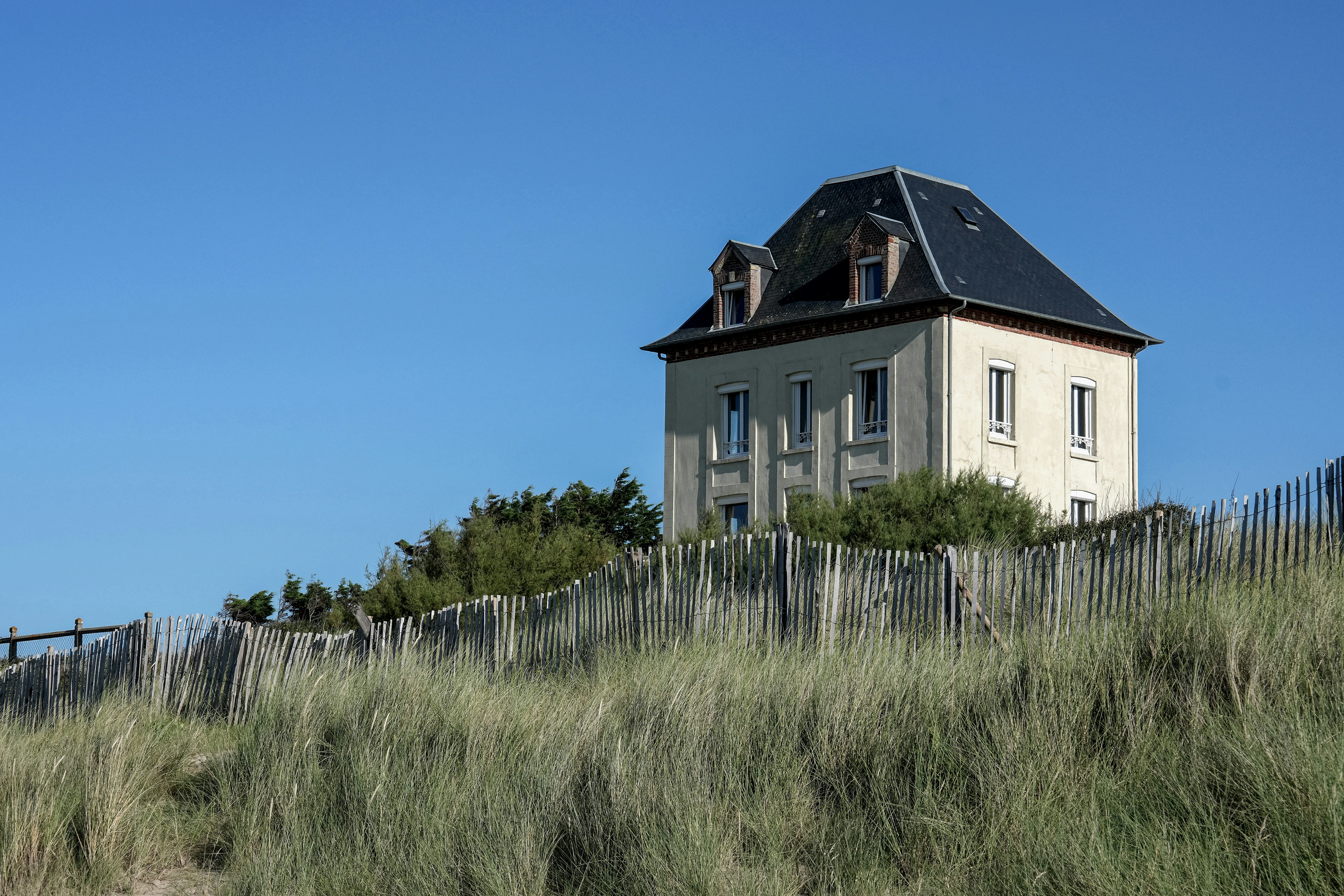 Photo by Markus Kammermann with Sony Alpha 1 II