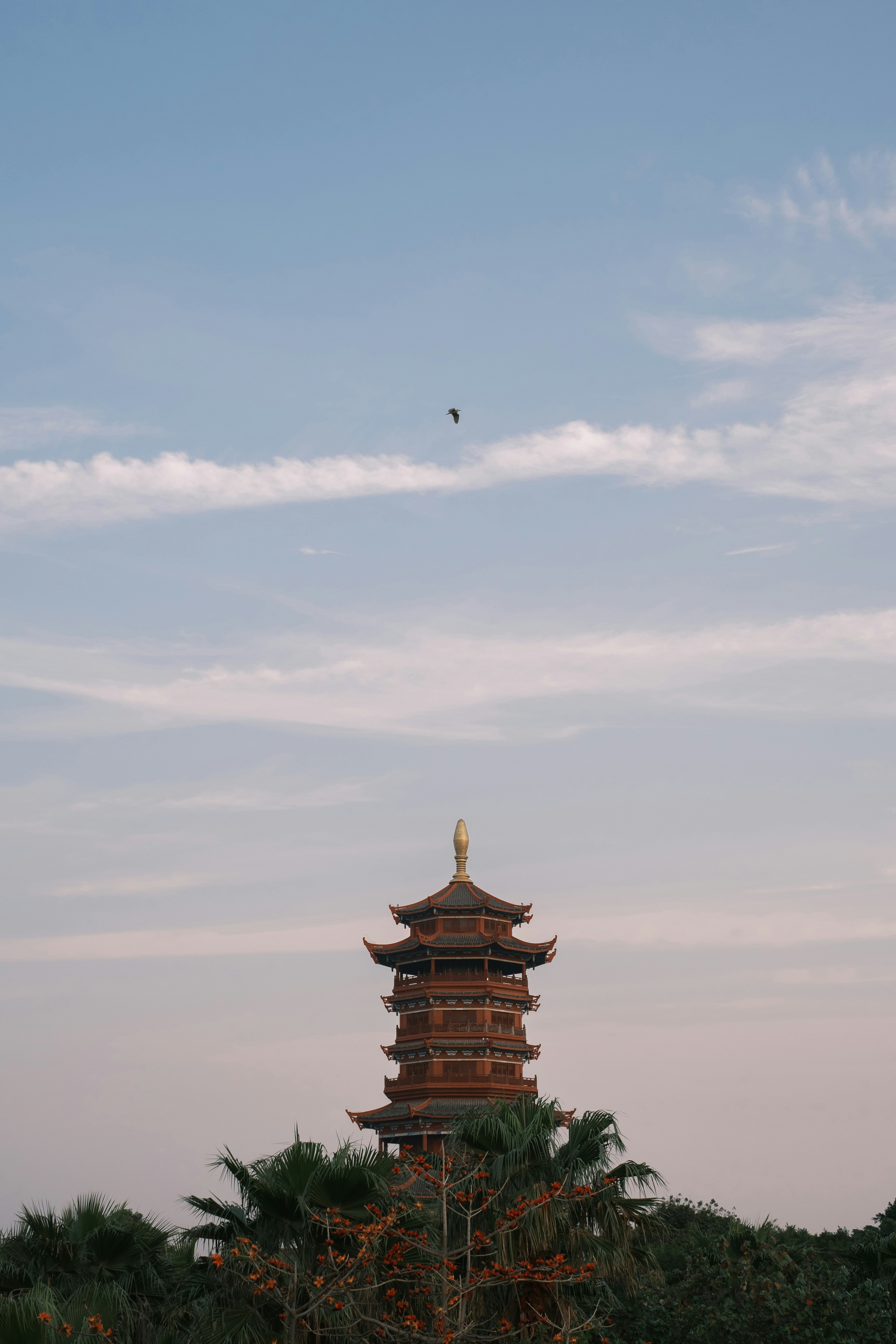 Photo by 雙 film with Fujifilm X-T30 II