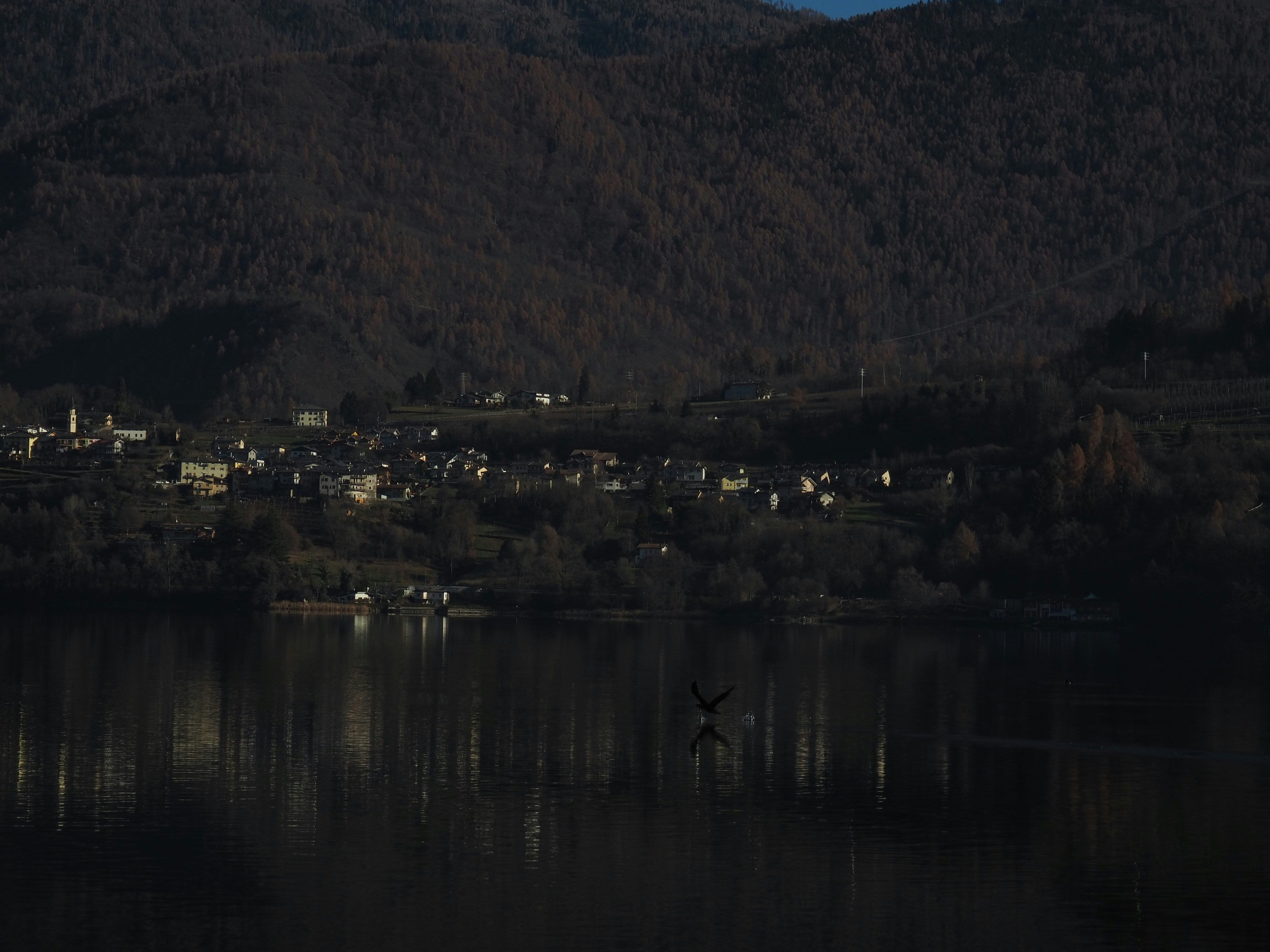 Midnight Lake Reflections over a Quiet Town