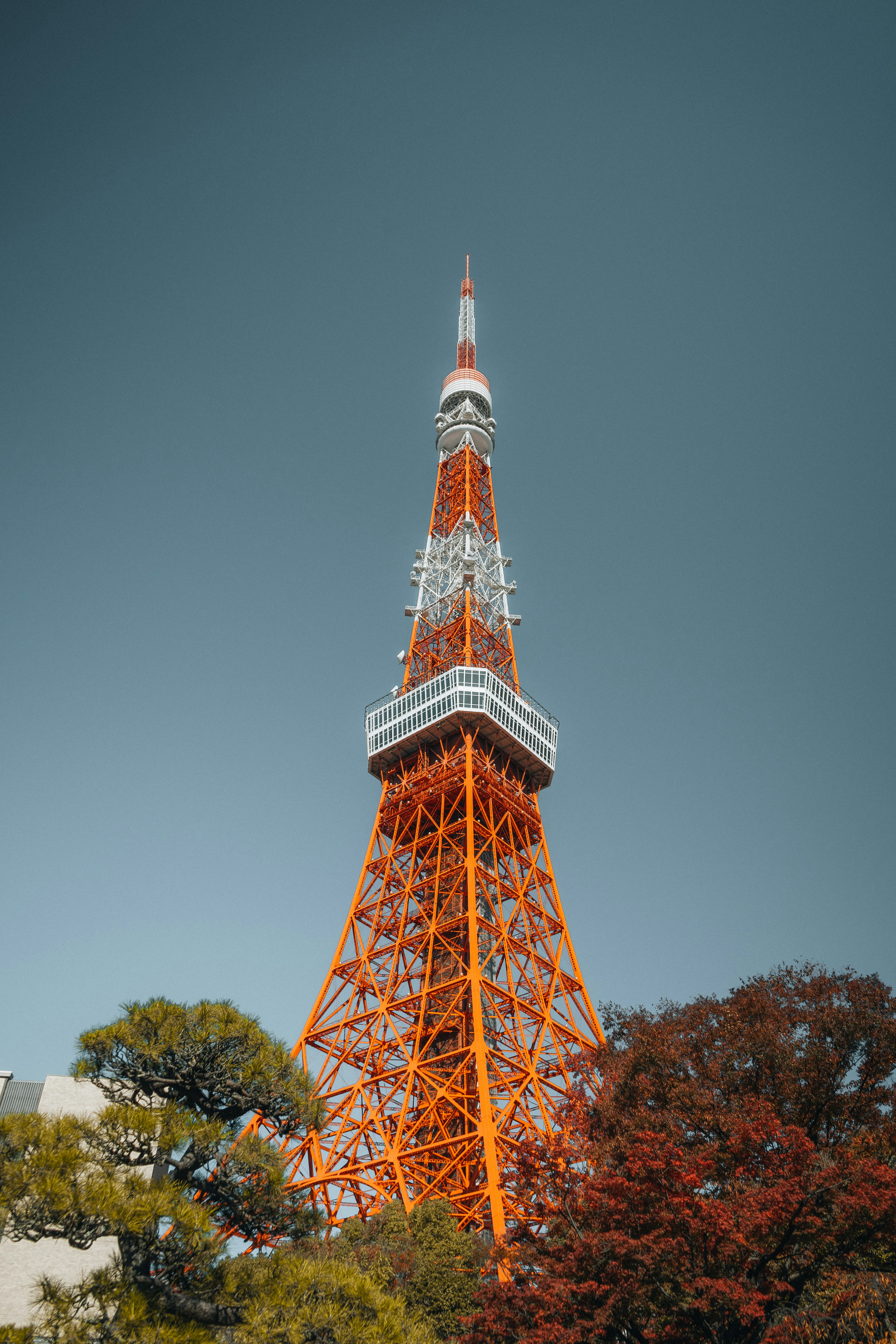 Tokyo Tower rises into a clear autumn sky, framed by quiet stairways and fading leaves. The contrast between its vivid red-and-white structure and the calm blue background highlights both the precision of human engineering and the seasonal softness of the surrounding nature. Shot in autumn, these images explore the dialogue between city landmarks and fleeting moments of change, where geometry, color, and light briefly align.